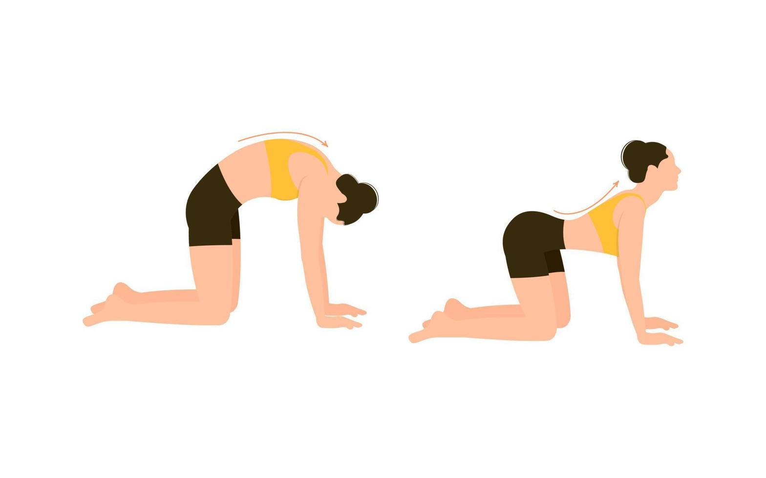 Demonstrating Cat Pose Yoga Asana Isolated On The White Background