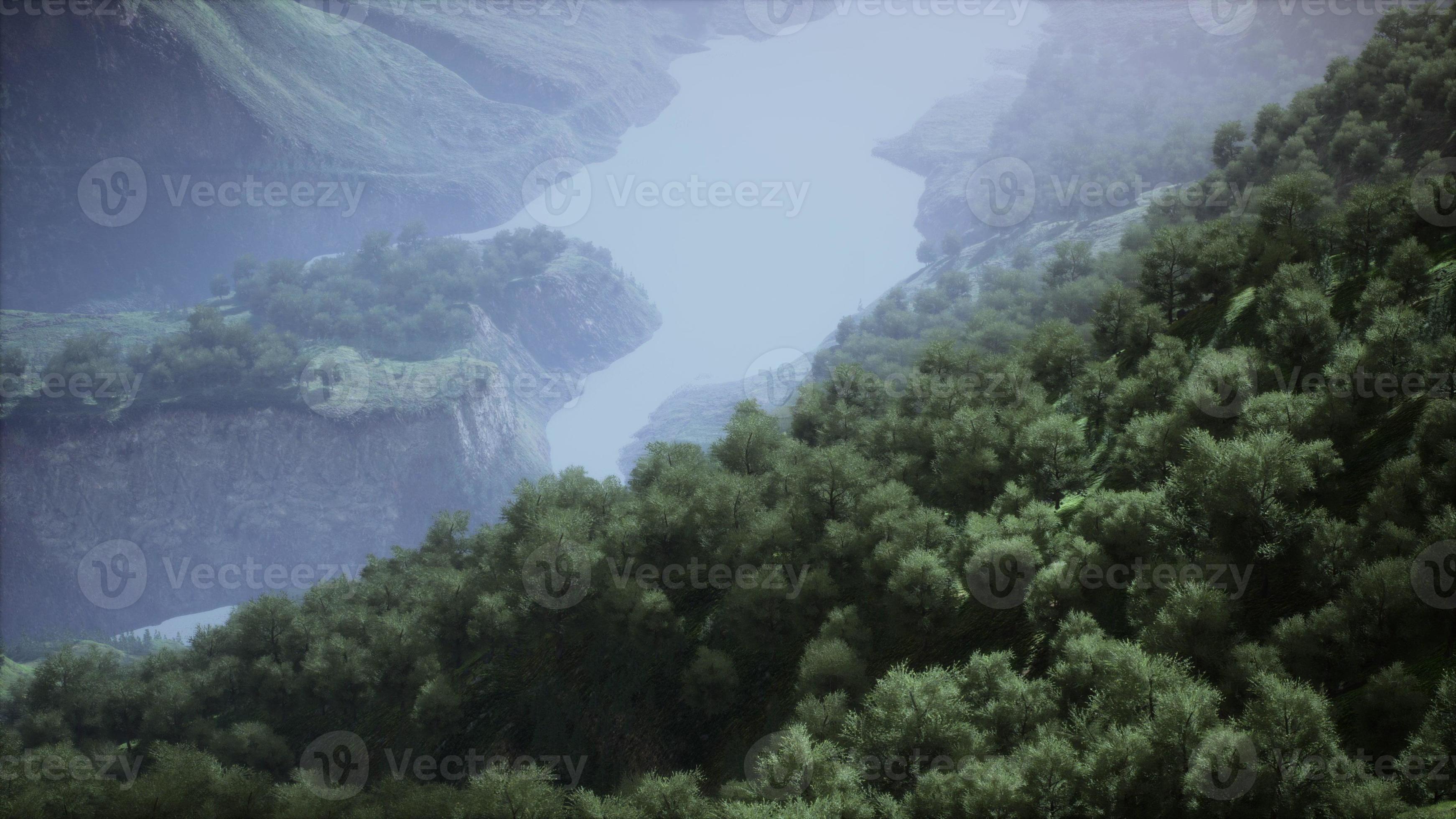 vista superior aérea del ecosistema de la selva tropical y el medio ...