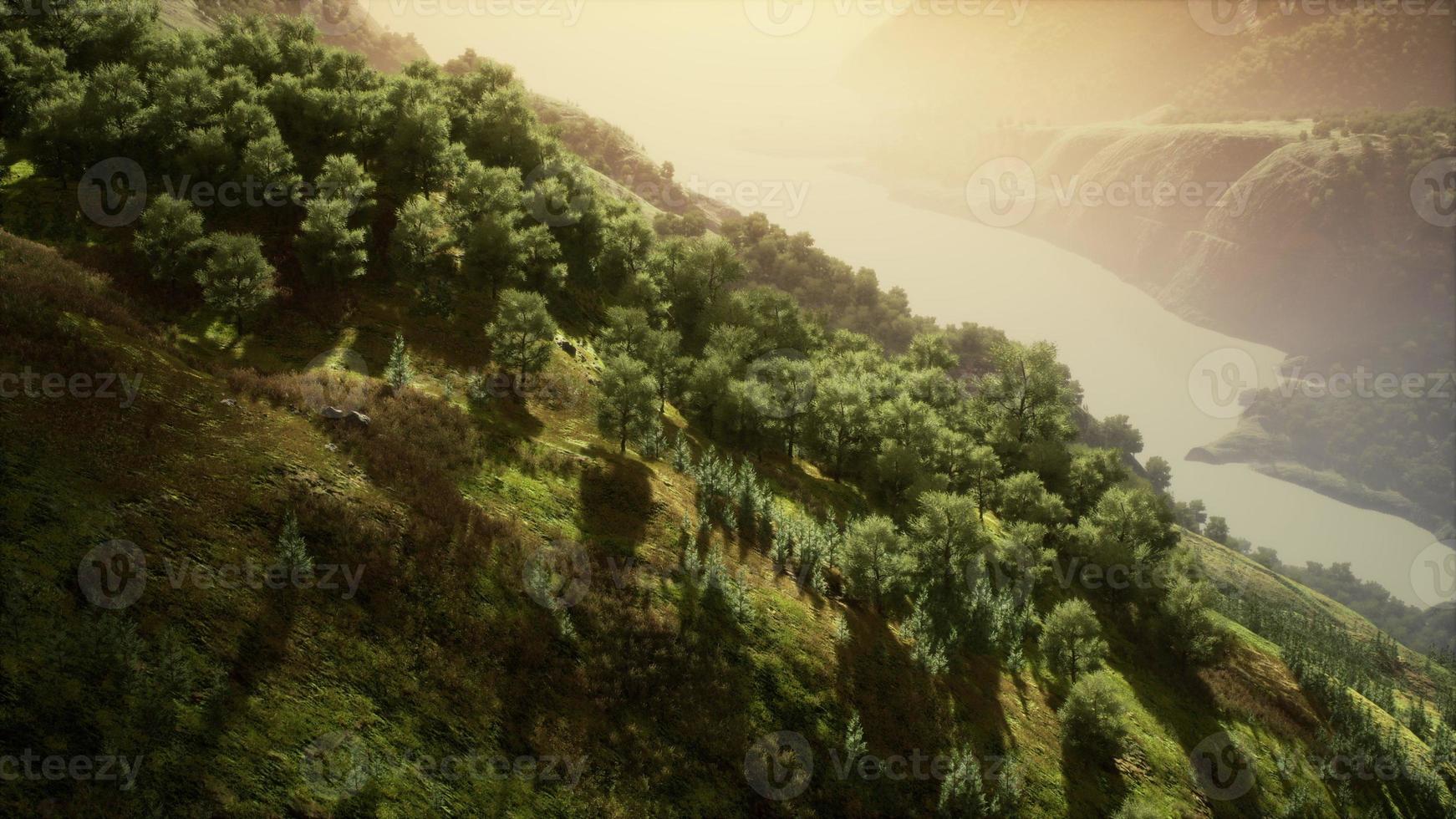 vista superior aérea del ecosistema de la selva tropical y el medio ...