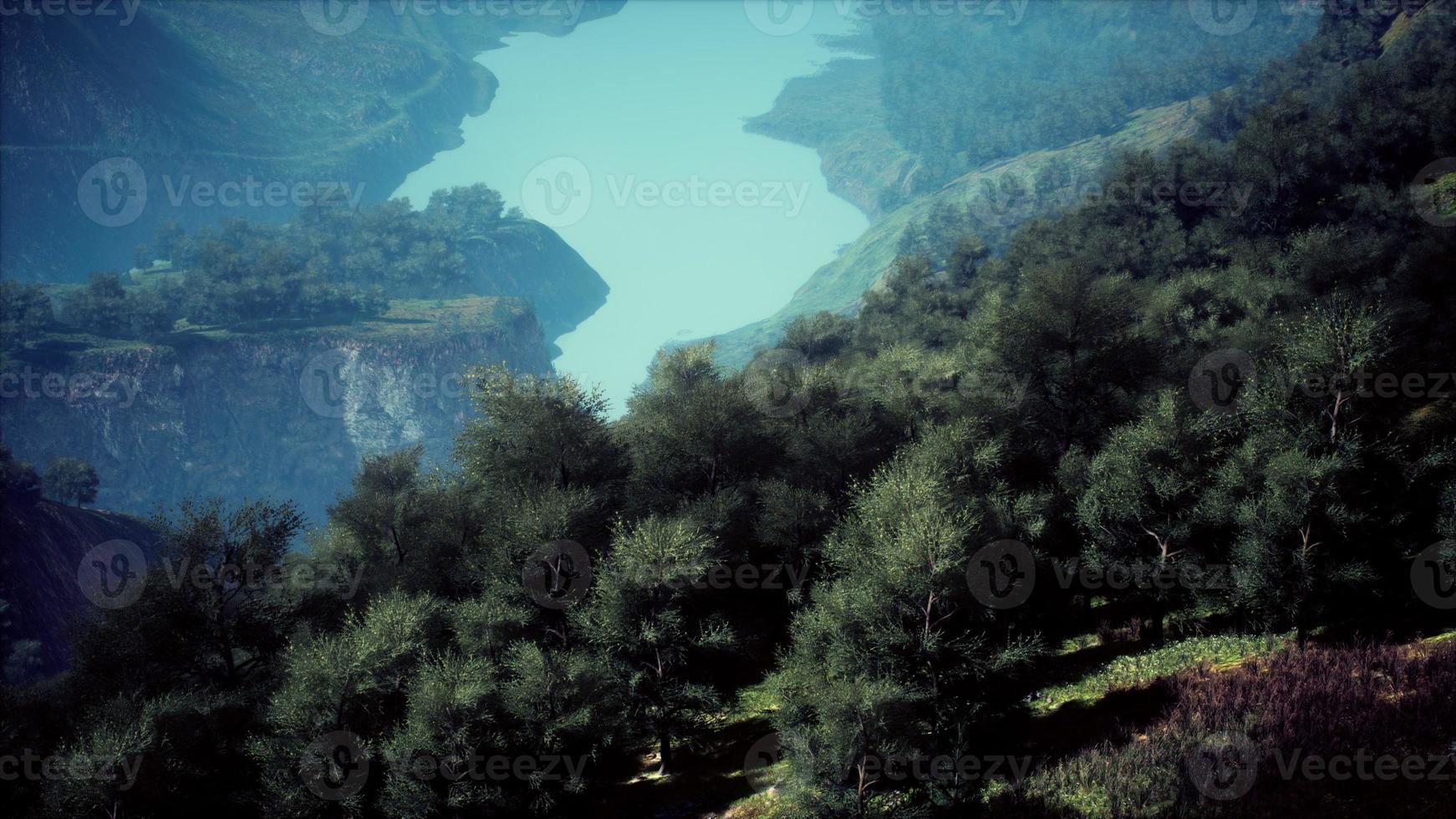 vista superior aérea del ecosistema de la selva tropical y el medio ...