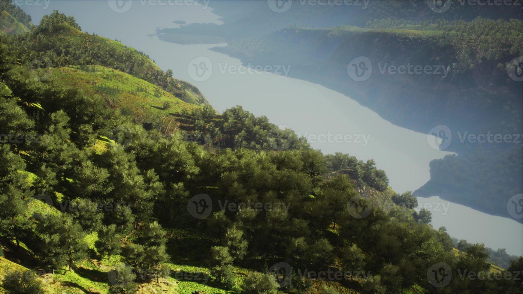 vista superior aérea del ecosistema de la selva tropical y el medio ...