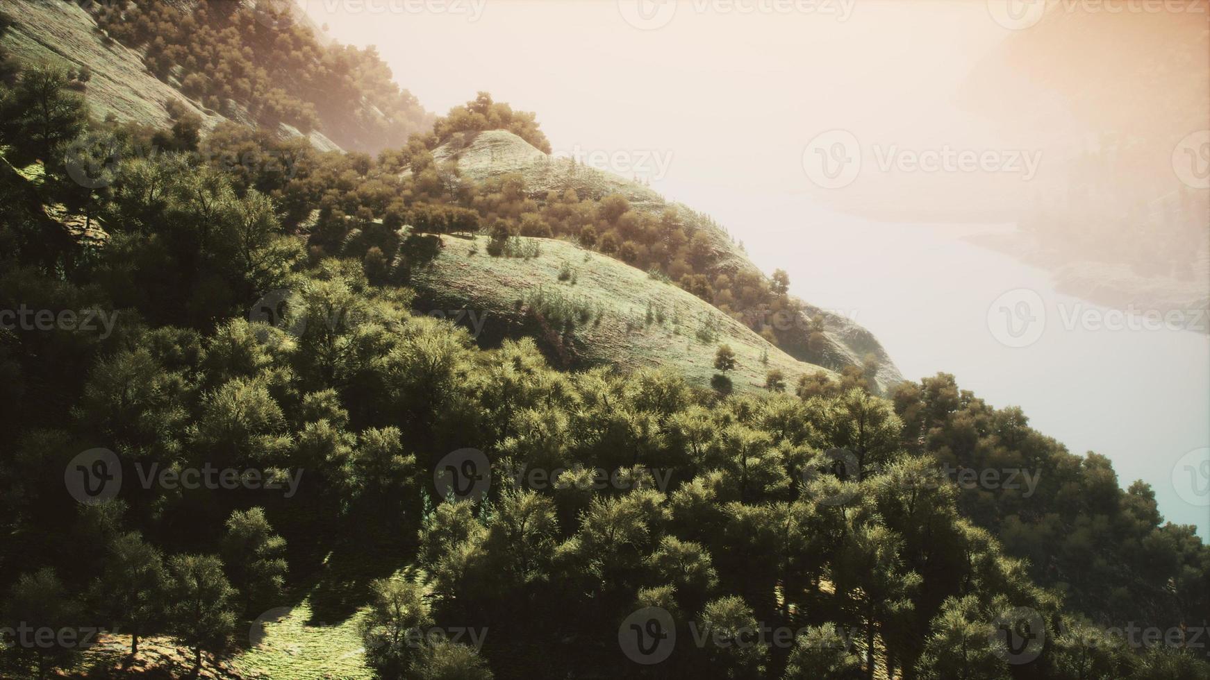 vista superior aérea del ecosistema de la selva tropical y el medio ...