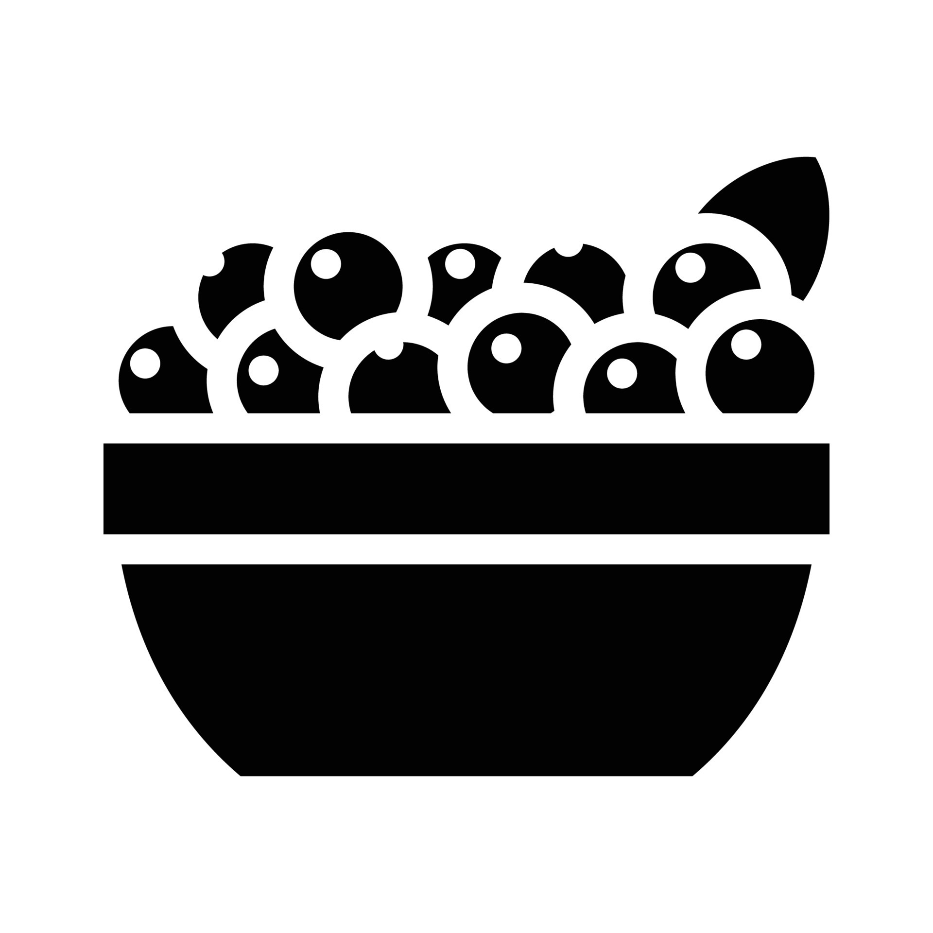 Acai Berries Glyph Icon Vector Illustration 17291383 Vector Art At Vecteezy