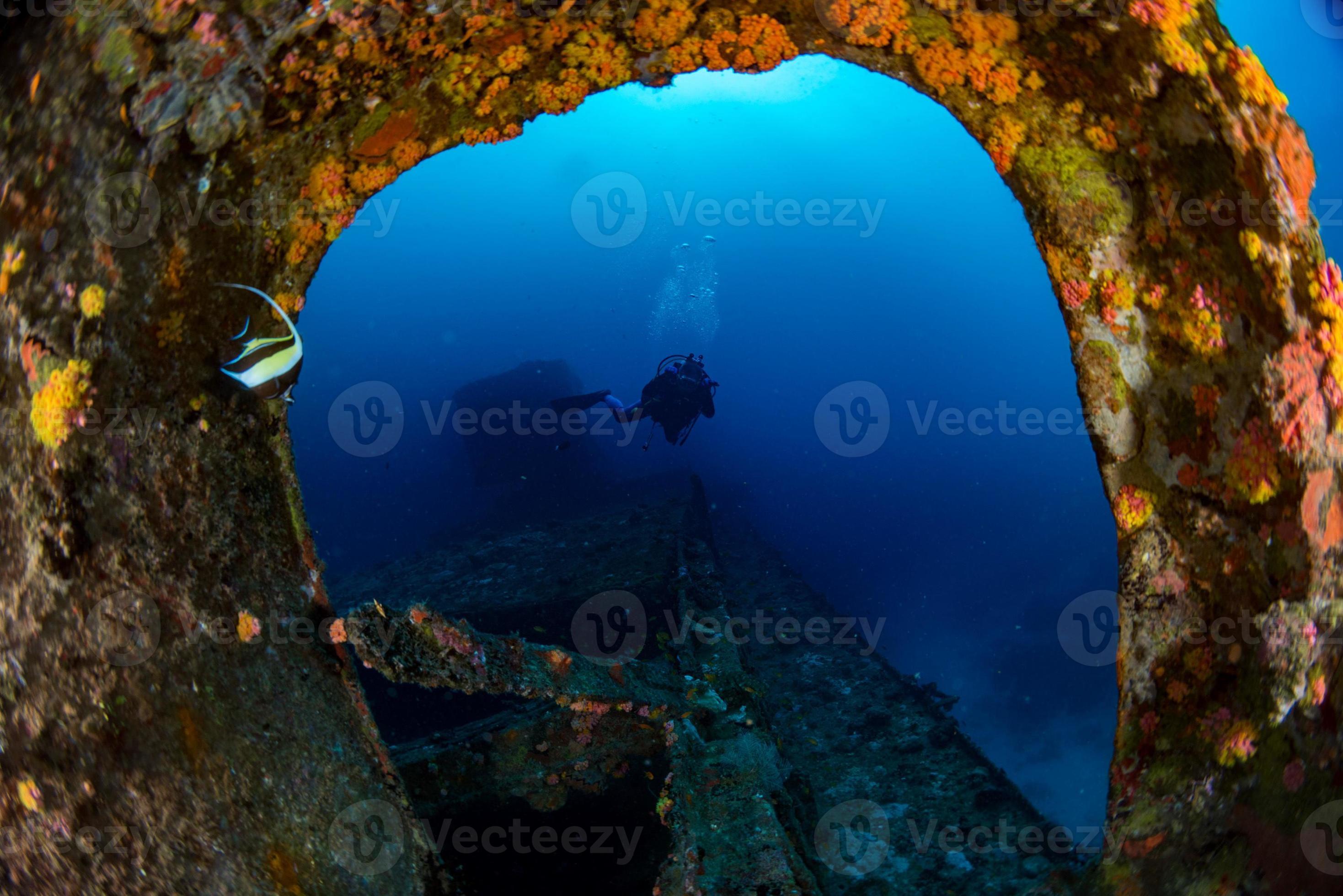 scuba diver diving Ship Wreck in maldives indian ocean 17307450 Stock ... scuba diver diving Ship Wreck in maldives indian ocean 17307450 Stock ...