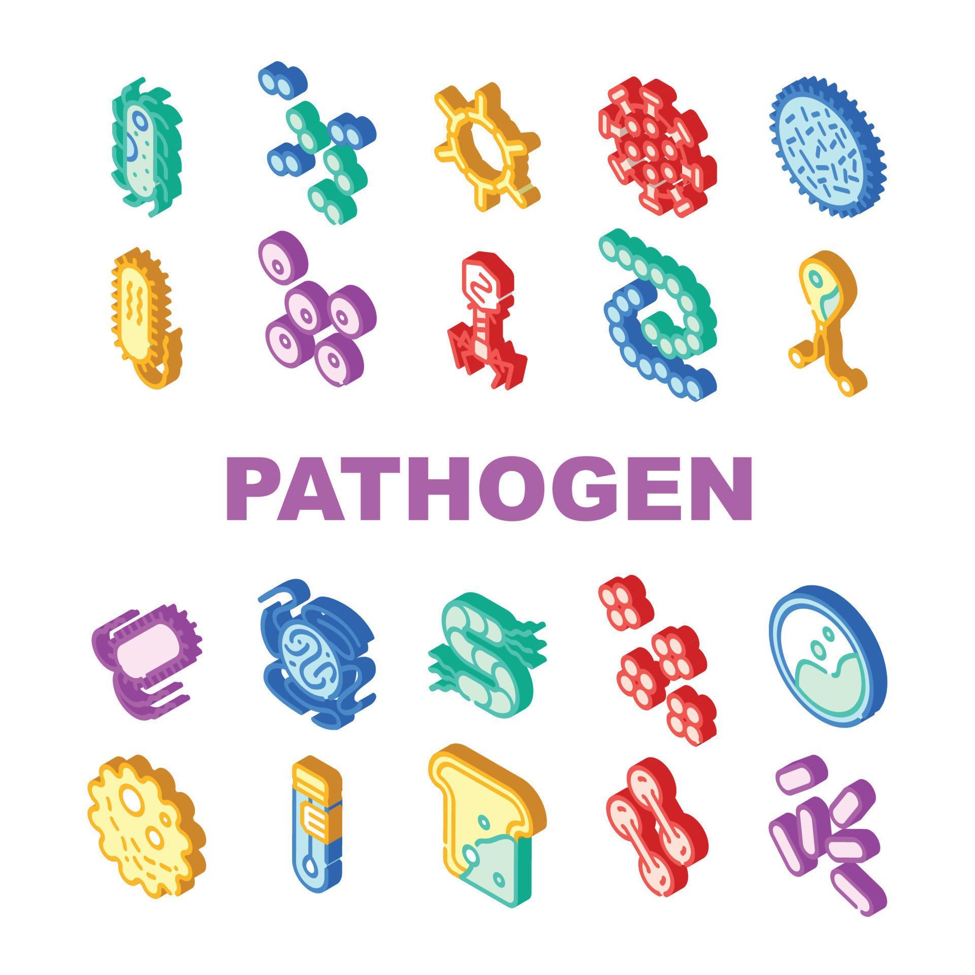 Pathogen Virus Disease Collection Icons Set Vector 17318994 Vector Art ... Pathogen Virus Disease Collection Icons Set Vector 17318994 Vector Art ...