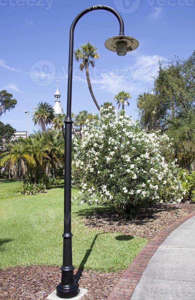 Tampa City Lamppost And Park Nature 17324803 Stock Photo at Vecteezy