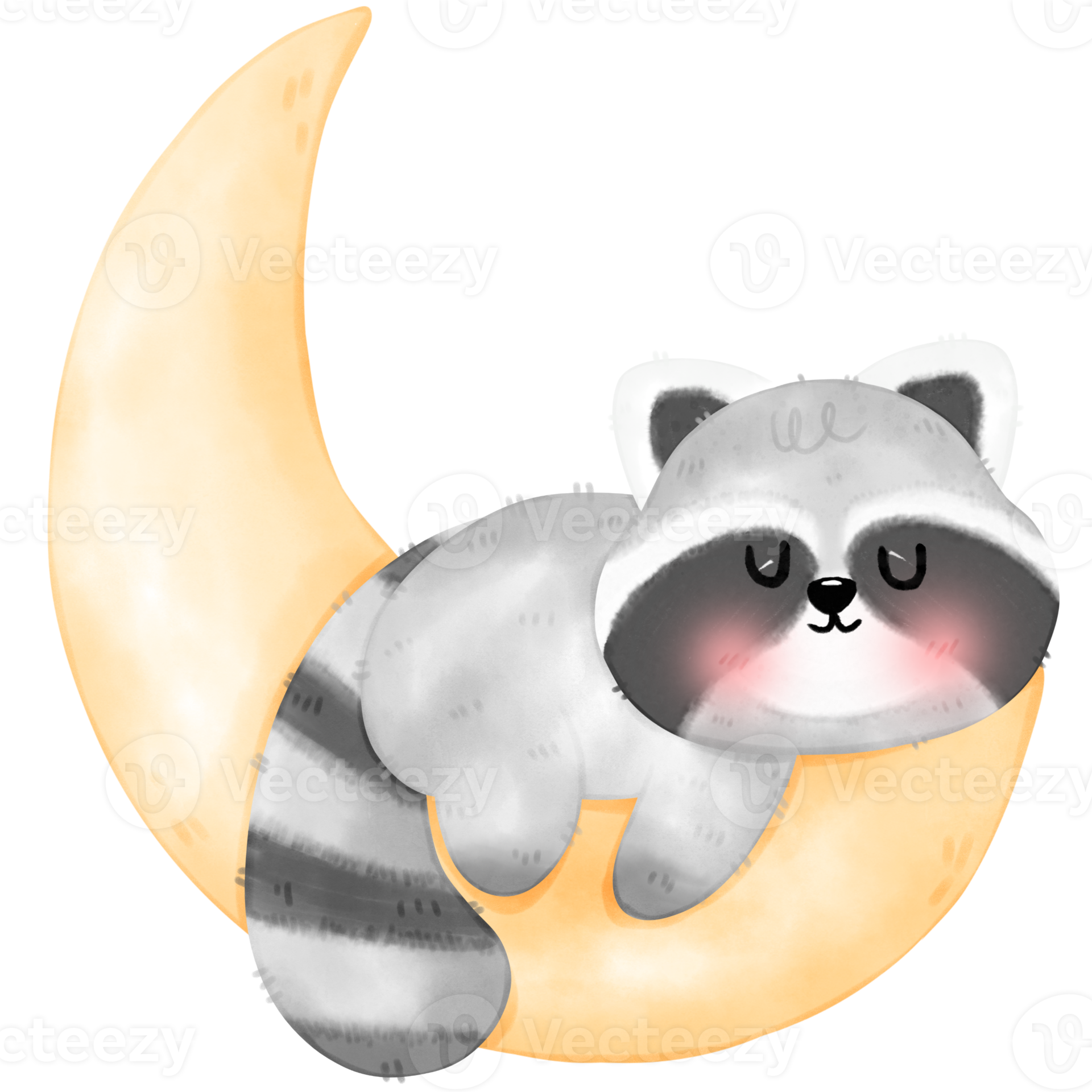 Cute Raccoon illustration 17340054 PNG