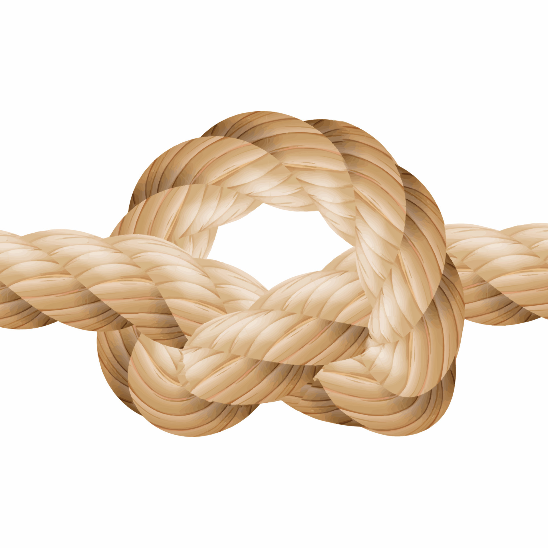 Rope Knot Vector. Marine Rope Knot. Isolated On White Background. For ...