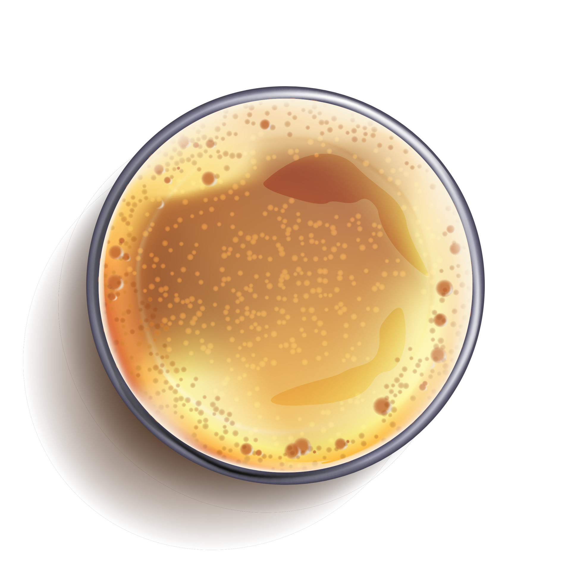 Dark Beer Glass Top View Vector Glass Cup Alcohol Drink With Foam Bubbles For Brewery Beer