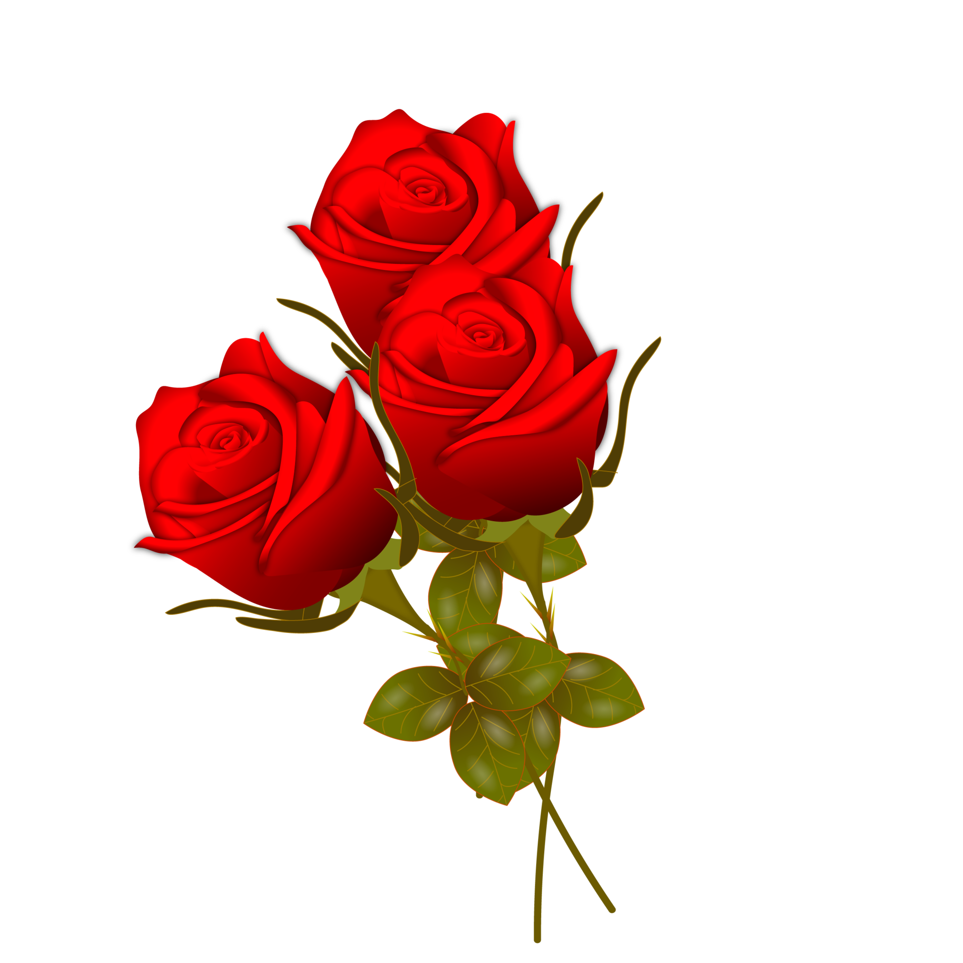 Animated Pictures Of Rose Flowers