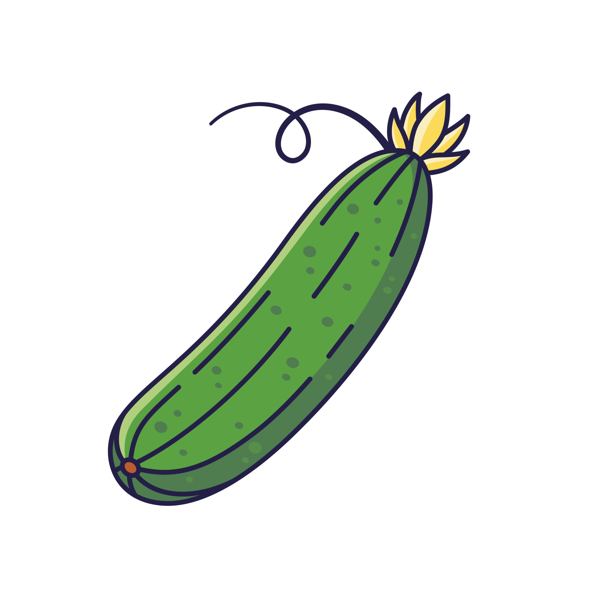 Cute cucumber cartoon icon illustration. Food vegetable flat icon concept isolated on white ...