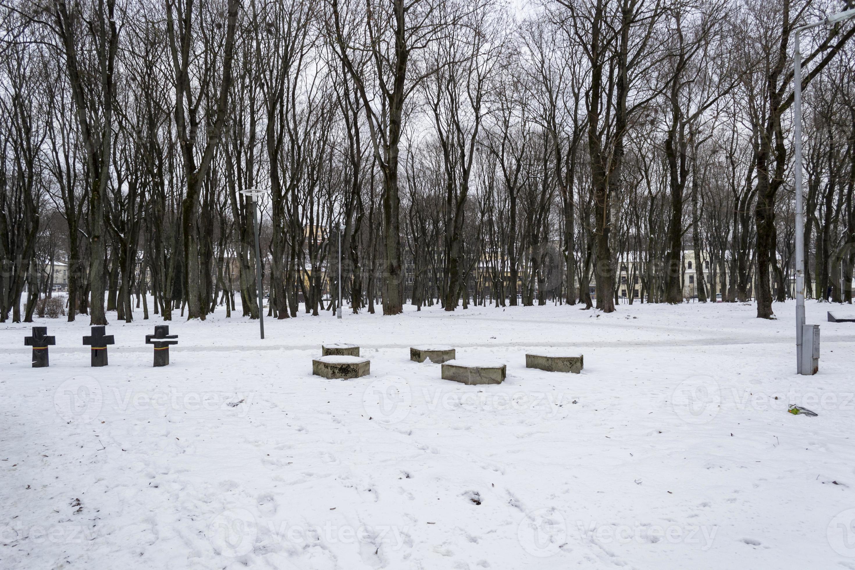 Trees Branches Covered in Snow Background 17404993 Stock Photo at Vecteezy