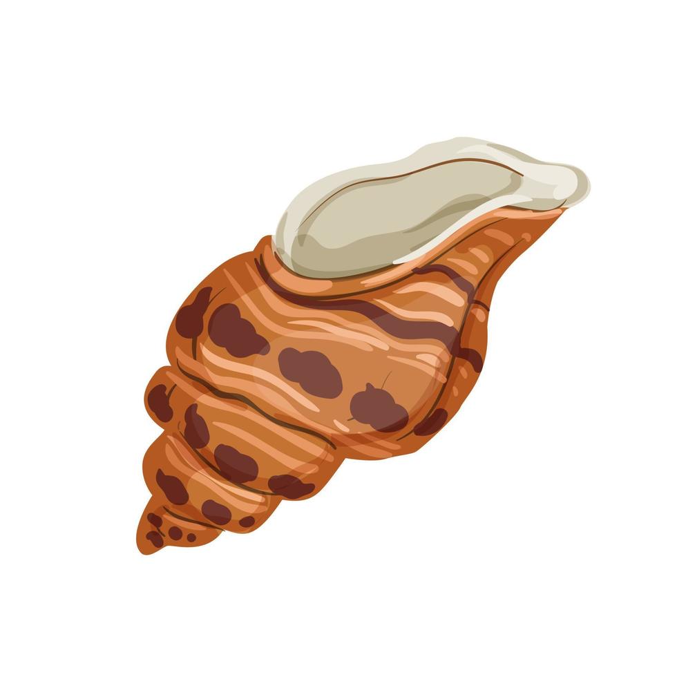 conch sea shell cartoon vector illustration 17407902 Vector Art at Vecteezy conch sea shell cartoon vector illustration 17407902 Vector Art at Vecteezy