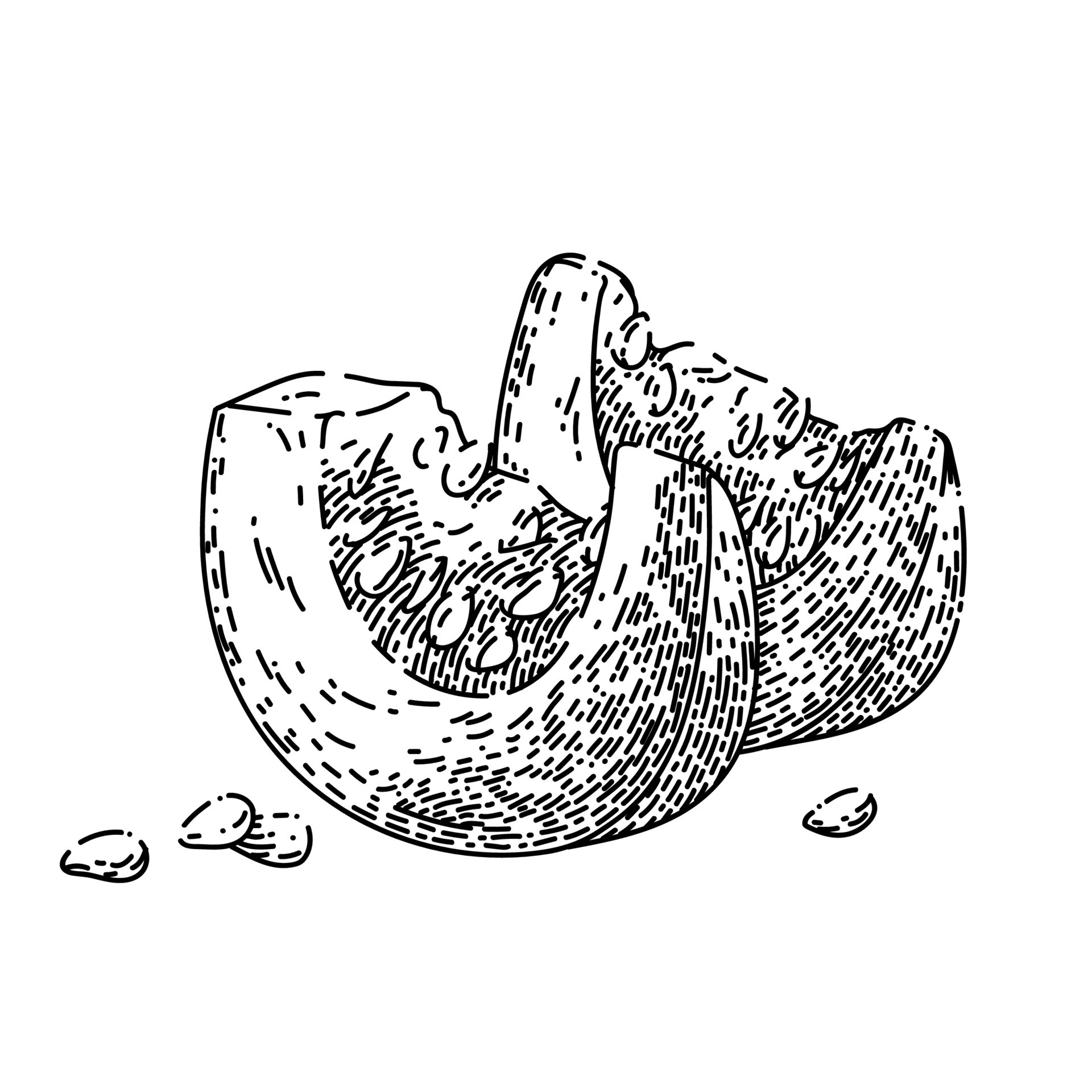 Pumpkin Slice Sketch Hand Drawn Vector 17415322 Vector Art At Vecteezy