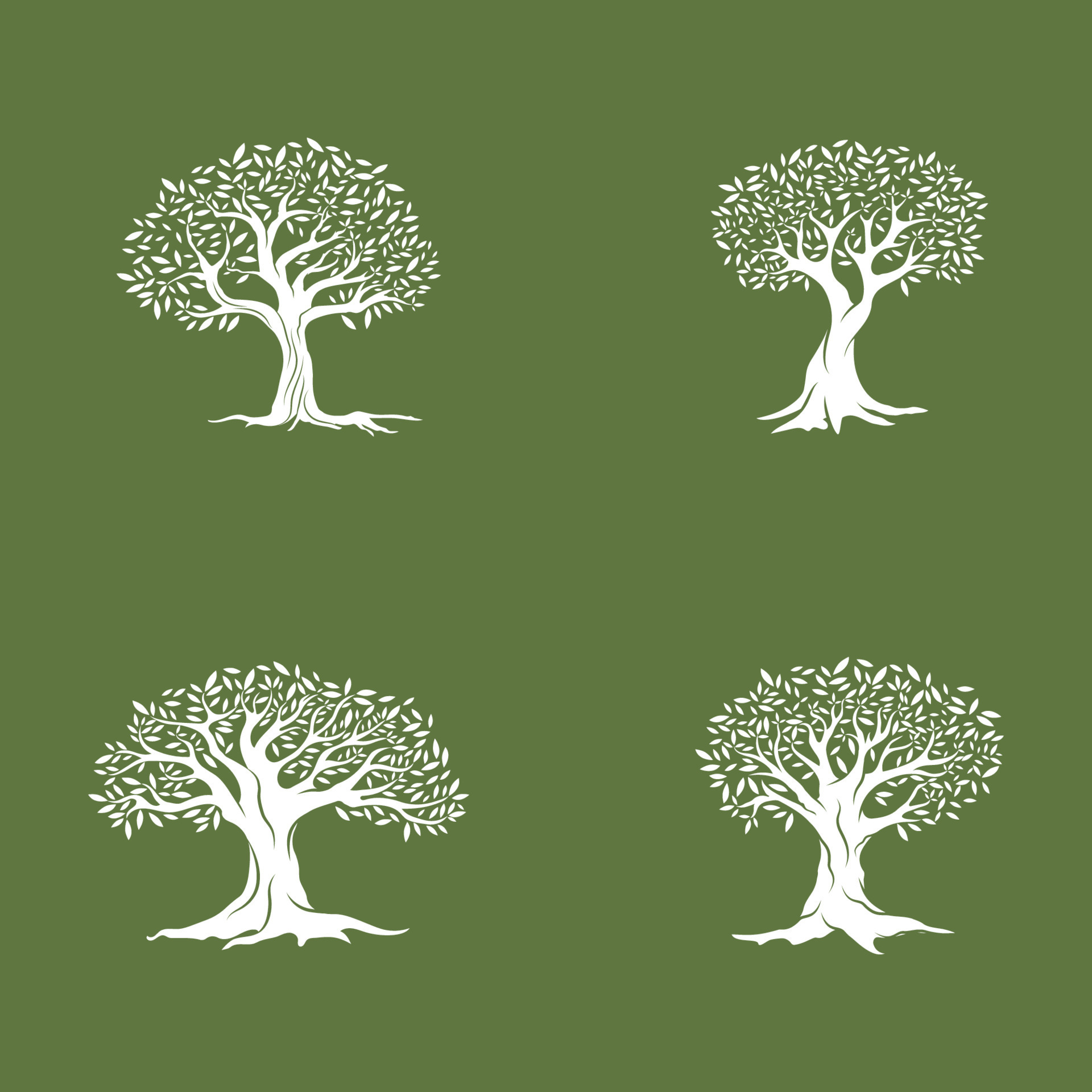 Olive tree vector illustration 17435921 Vector Art at Vecteezy