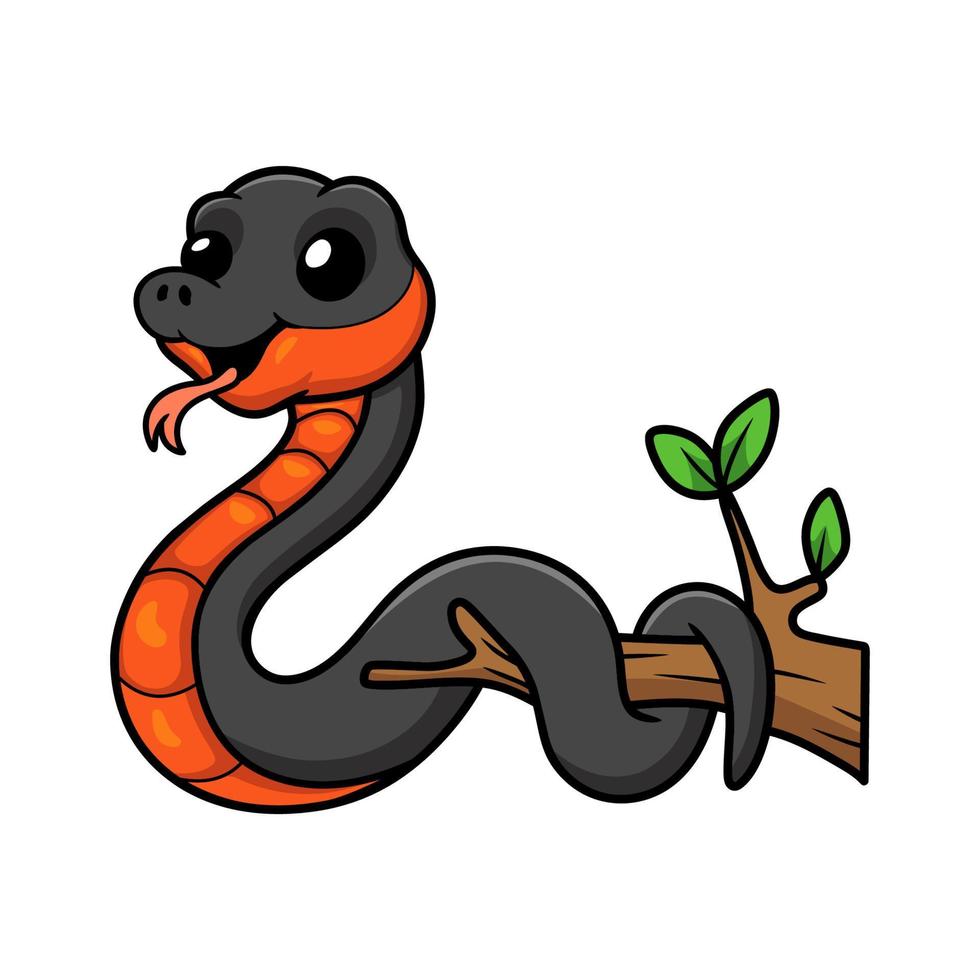 Cute copperbelly water snake cartoon on tree branch 17440699 Vector Art ...