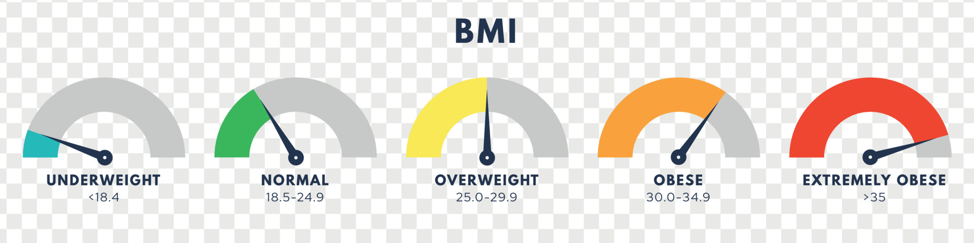 Body Mass Index or mass index scale. Types of BMI.Weight loss concept. Vector isolated ...