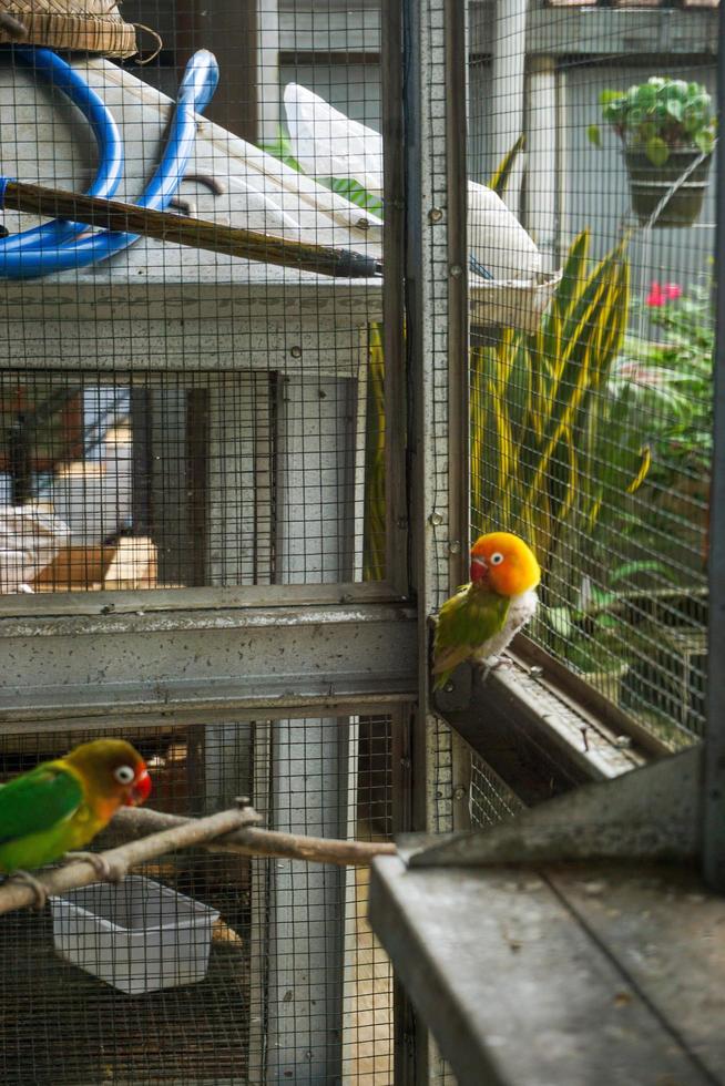 Abstract stock photos with unique objects, perfect for backgrounds ...