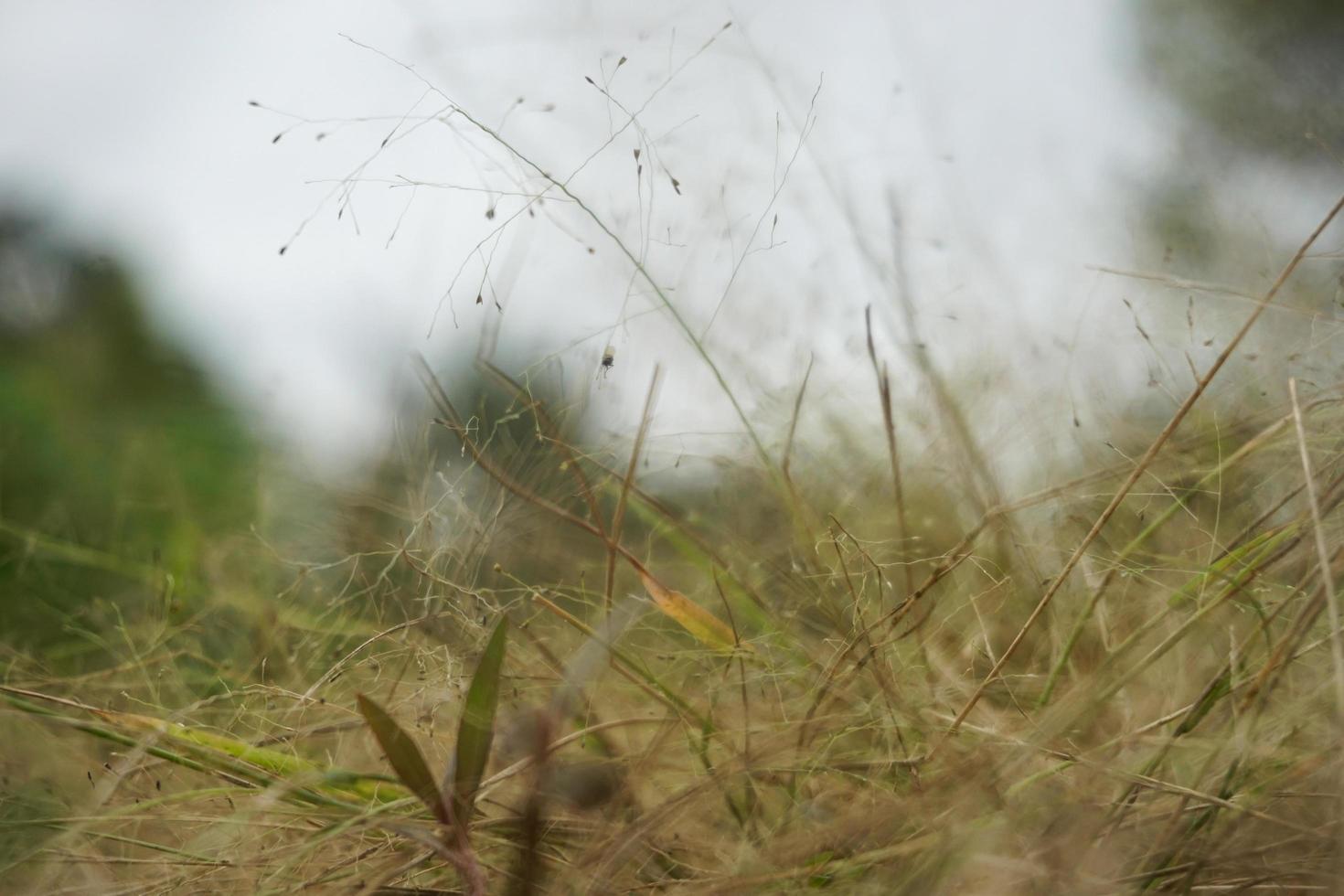 Abstract stock photos with unique objects, perfect for backgrounds ...