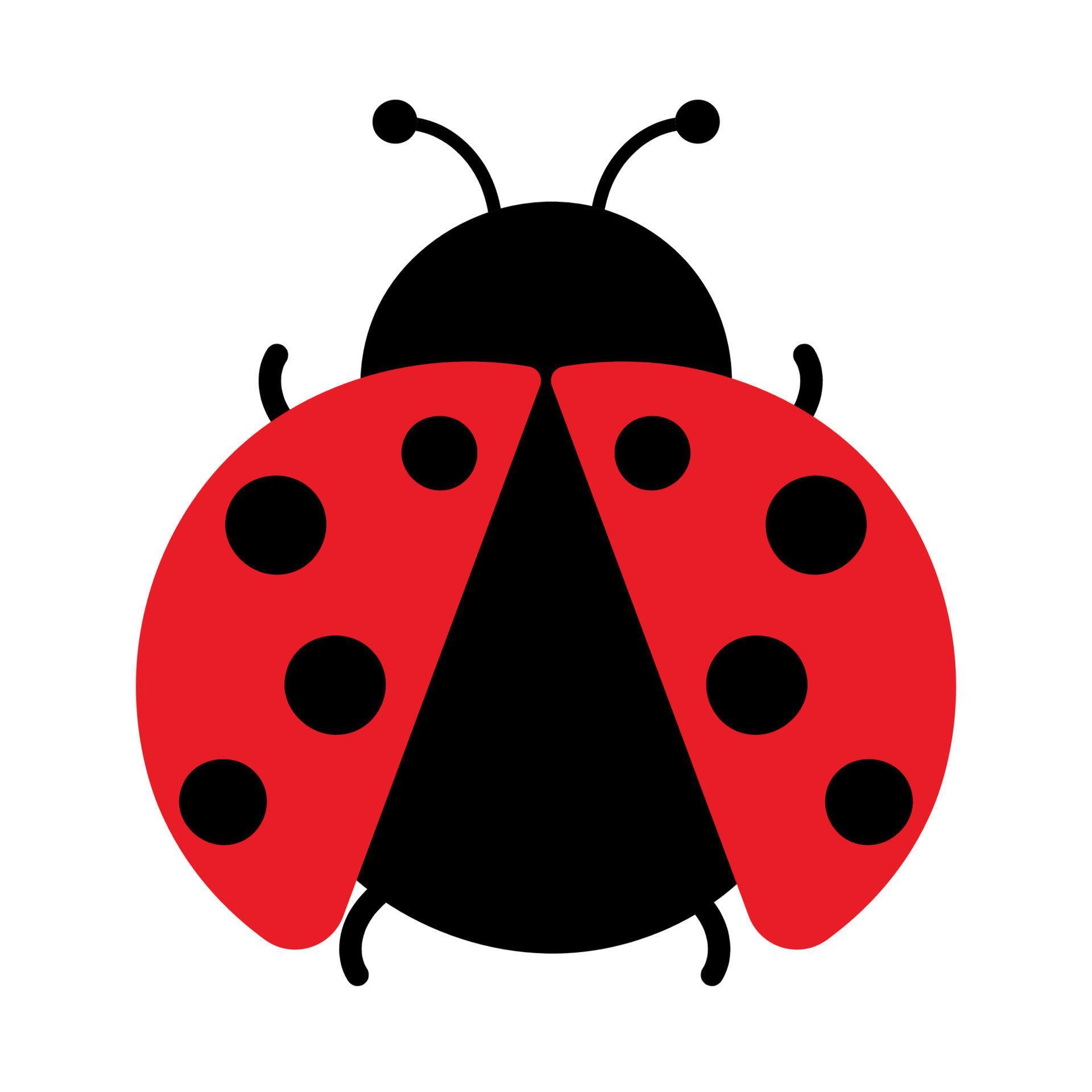 Cute Ladybug Insect Animal Animated Vector Illustration 17461005 Vector Art at Vecteezy