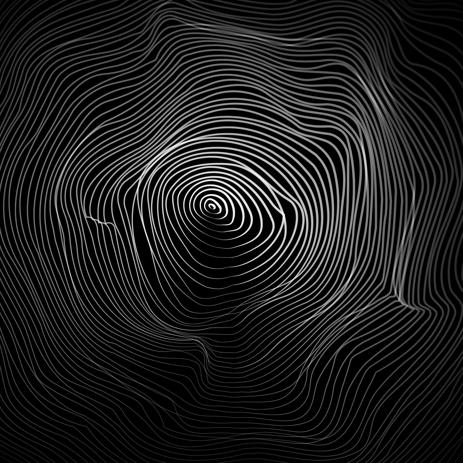 Moire Abstract Texture Vector Moire Waves Vector Warped Lines