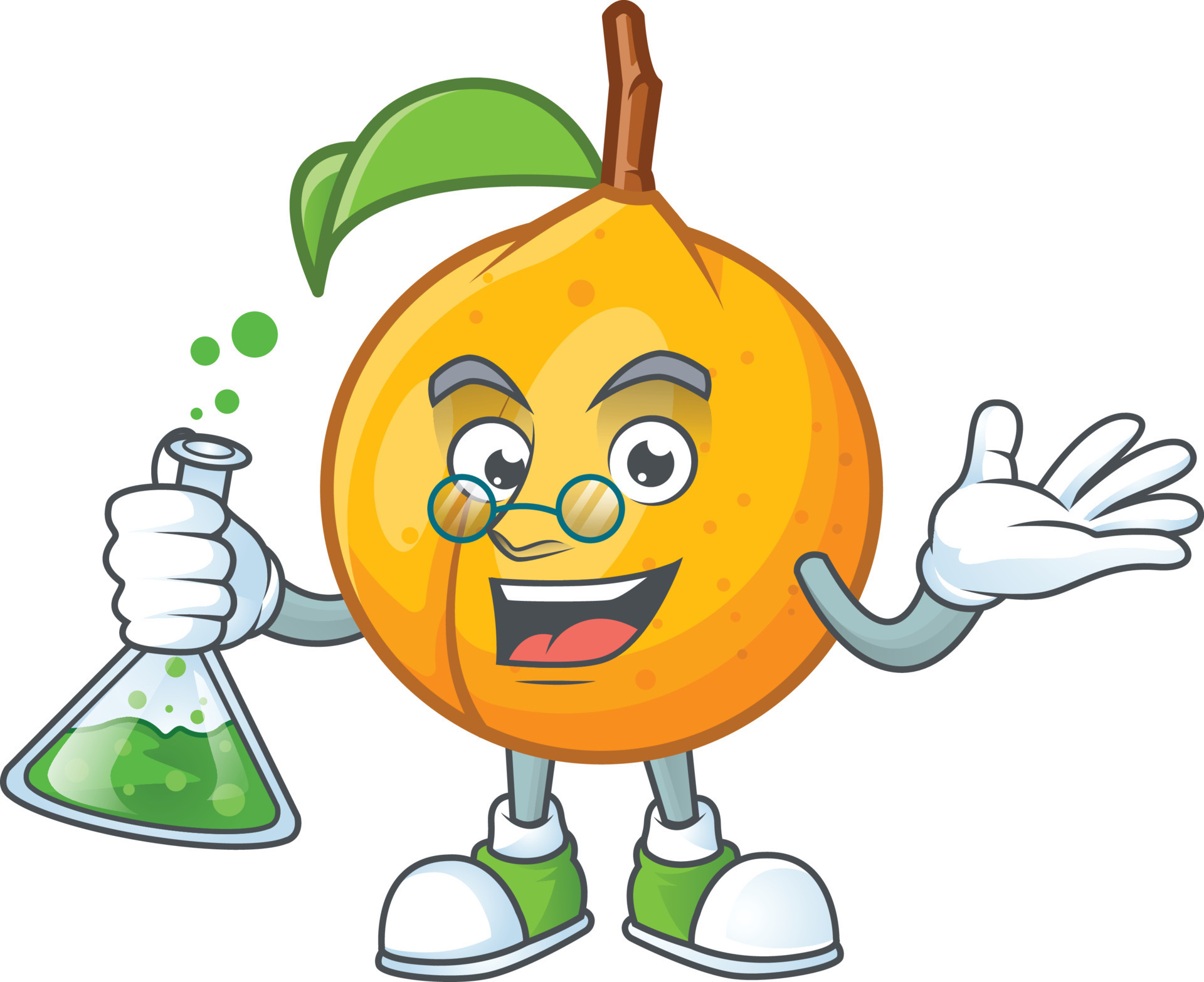 Nutmeg Fruit Vector 17583310 Vector Art at Vecteezy