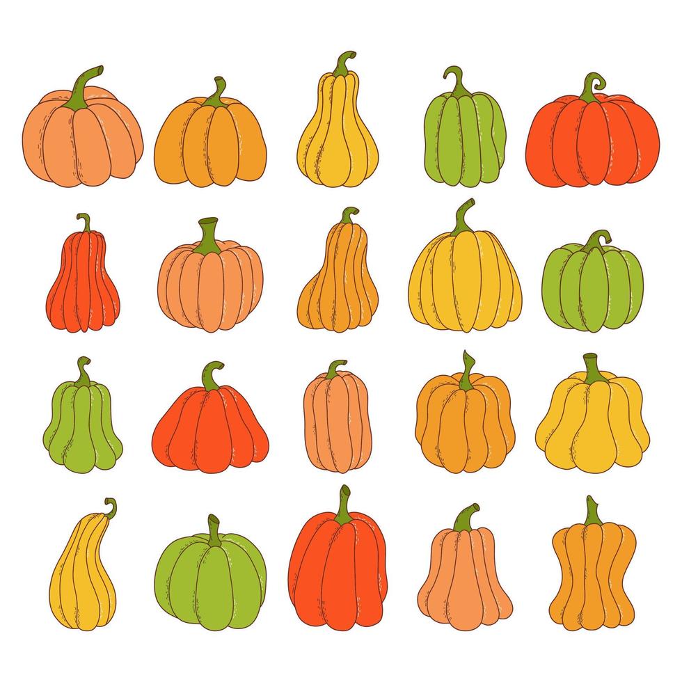 Set of pumpkin of various shapes and colors. Thanksgiving and halloween ...