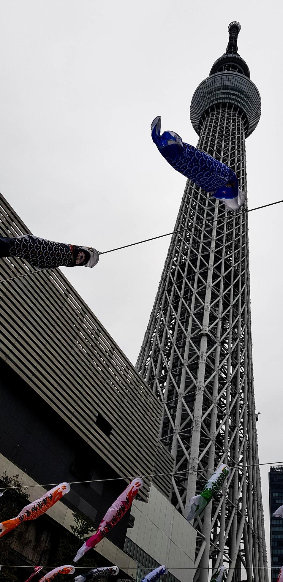 Tokyo, Japan in July 2019. Tokyo Sky tree formerly New Tokyo Tower is a broadcast, observation ...