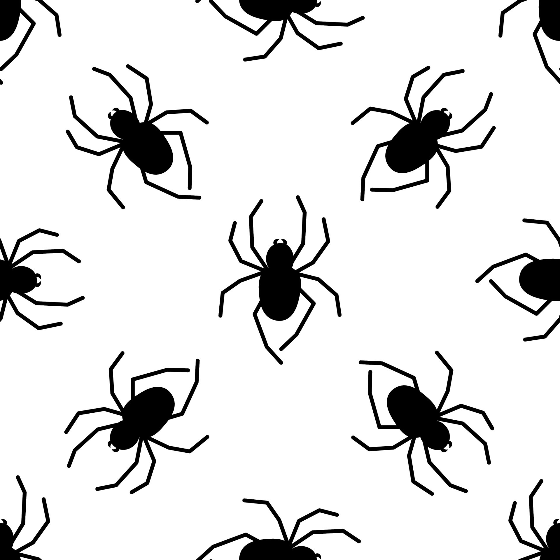 Spider vector seamless pattern on a white background. Insect pattern ...