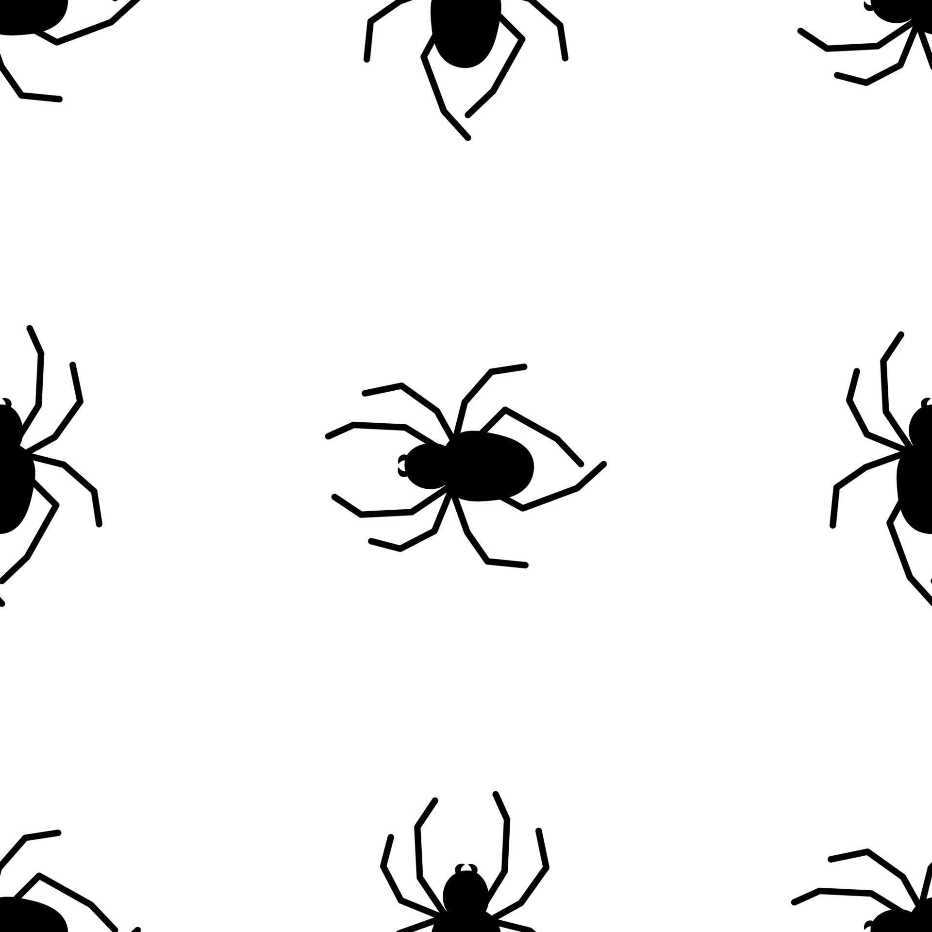Spider vector seamless pattern on a white background. Insect pattern ...