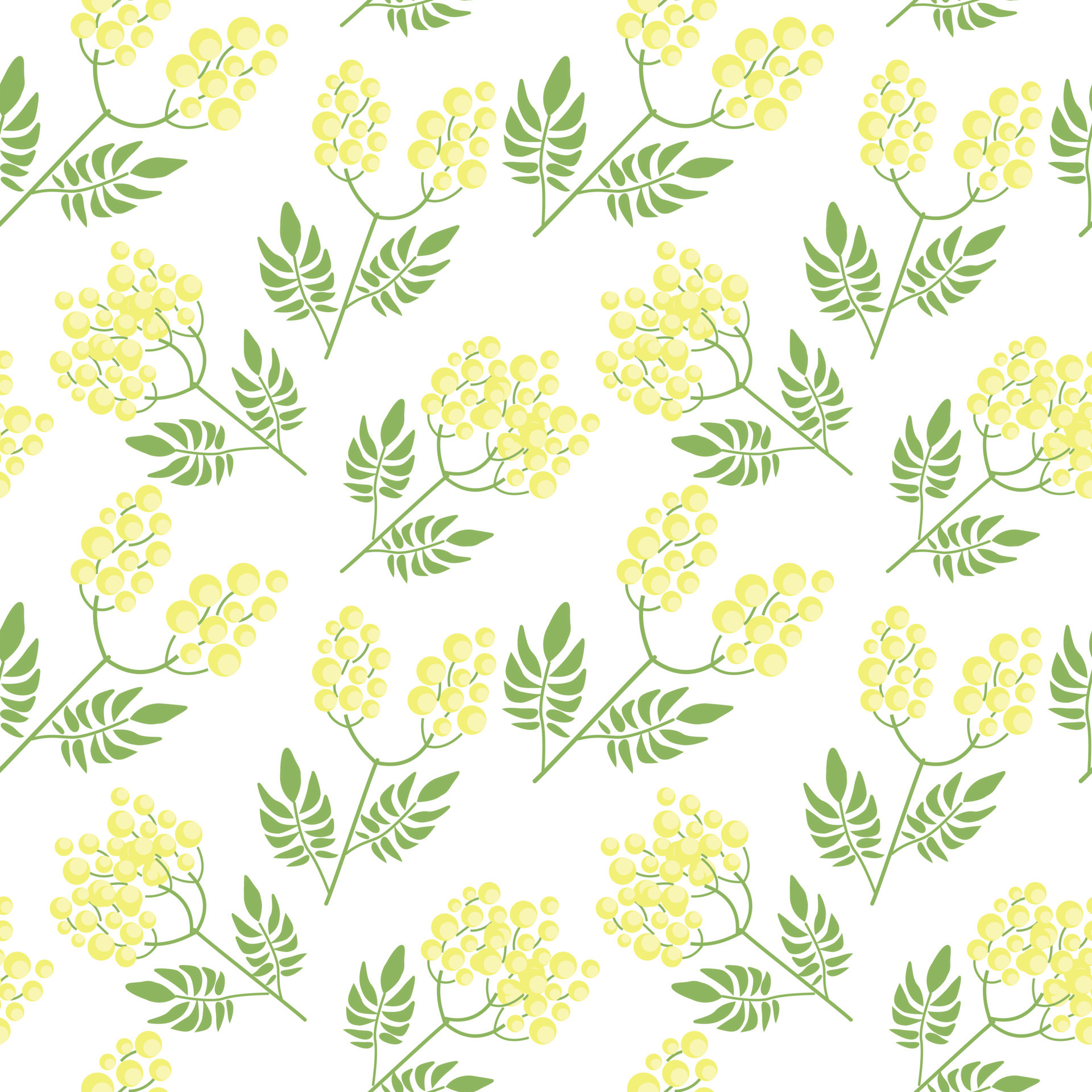 Botanical seamless pattern with yellow mimosa flowers and leaves on ...