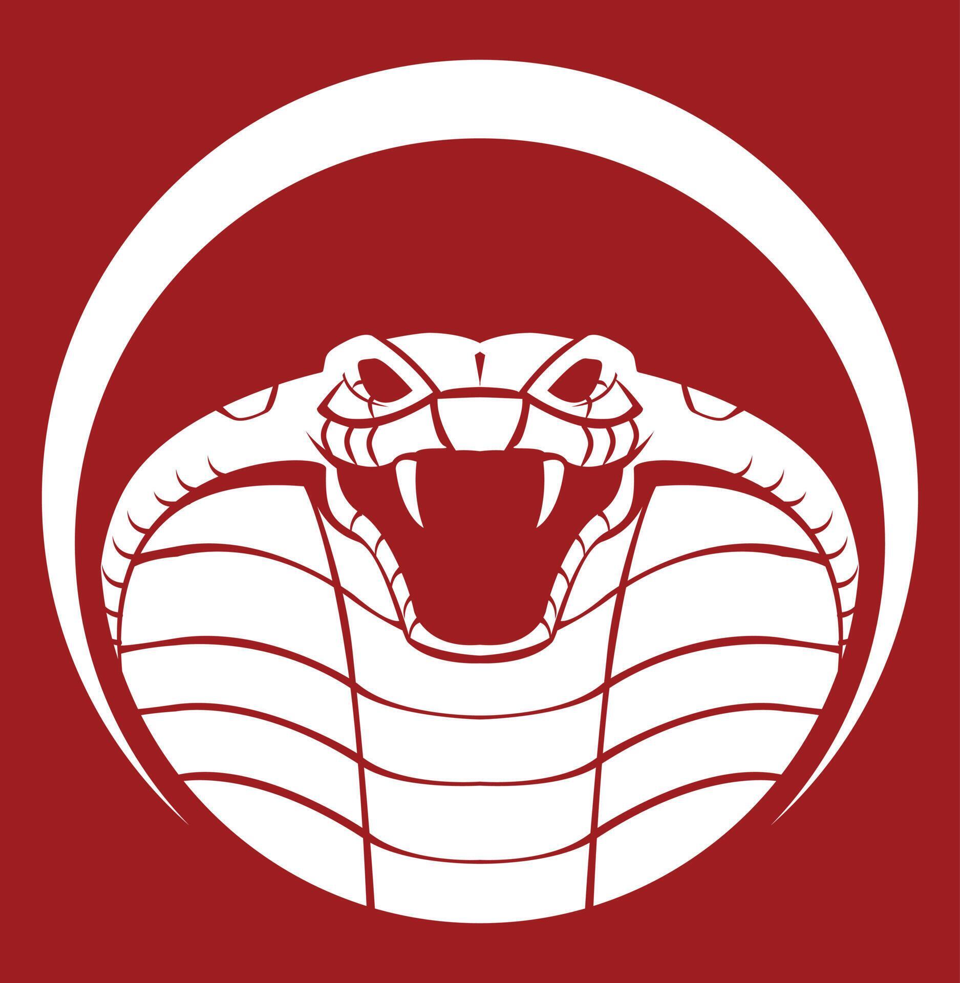 Snake head illustration 17729636 Vector Art at Vecteezy