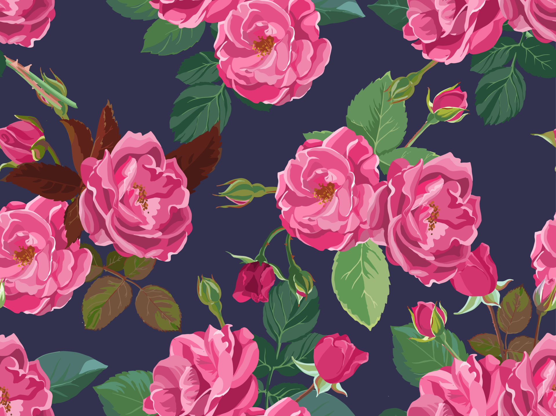 Summer and spring foliage and blooming pink roses 17758922 Vector Art ...