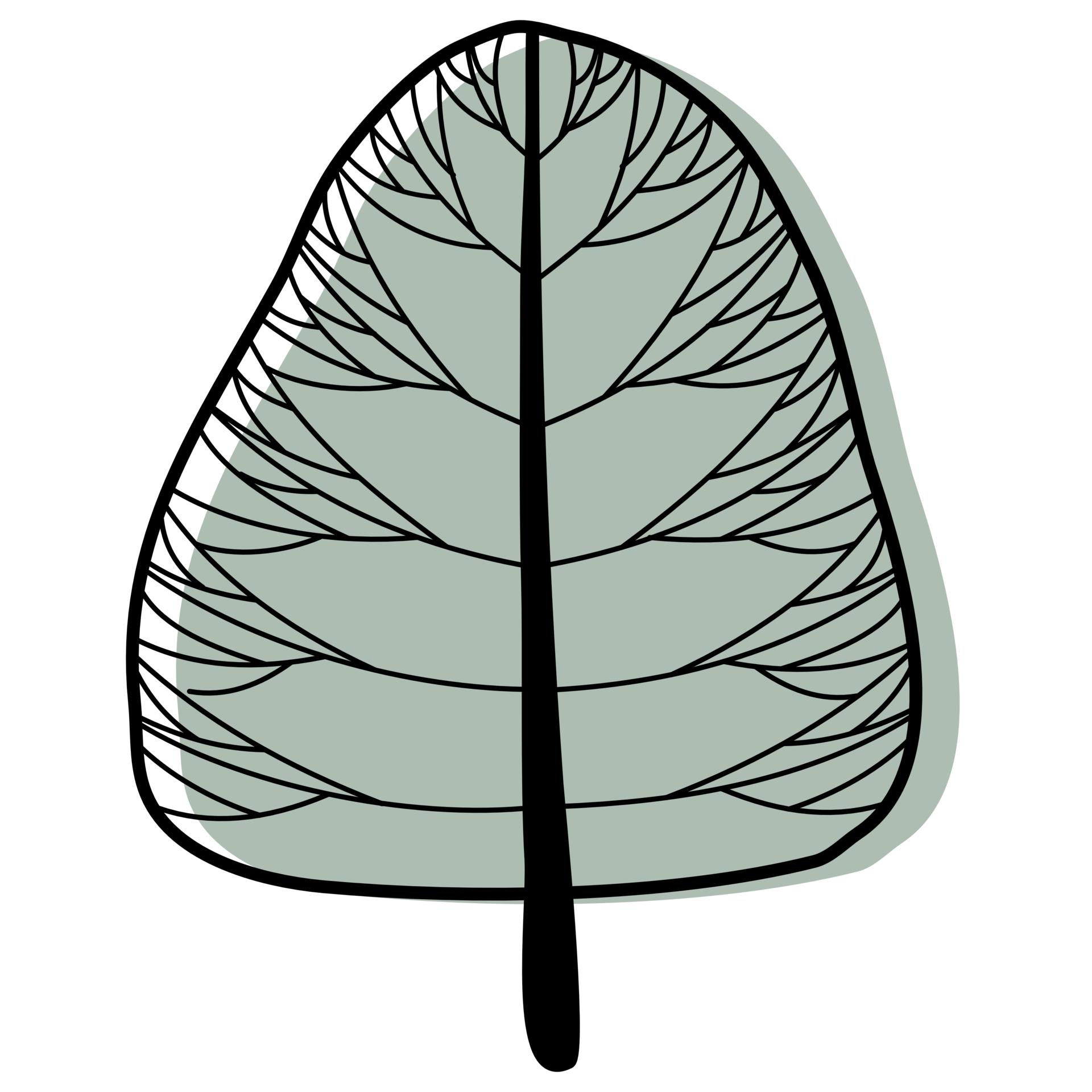 Free Cute Tree Elements Collection 17786177 PNG With Transparent Background free-cute-tree-elements-collection-17786177-png-with-transparent-background