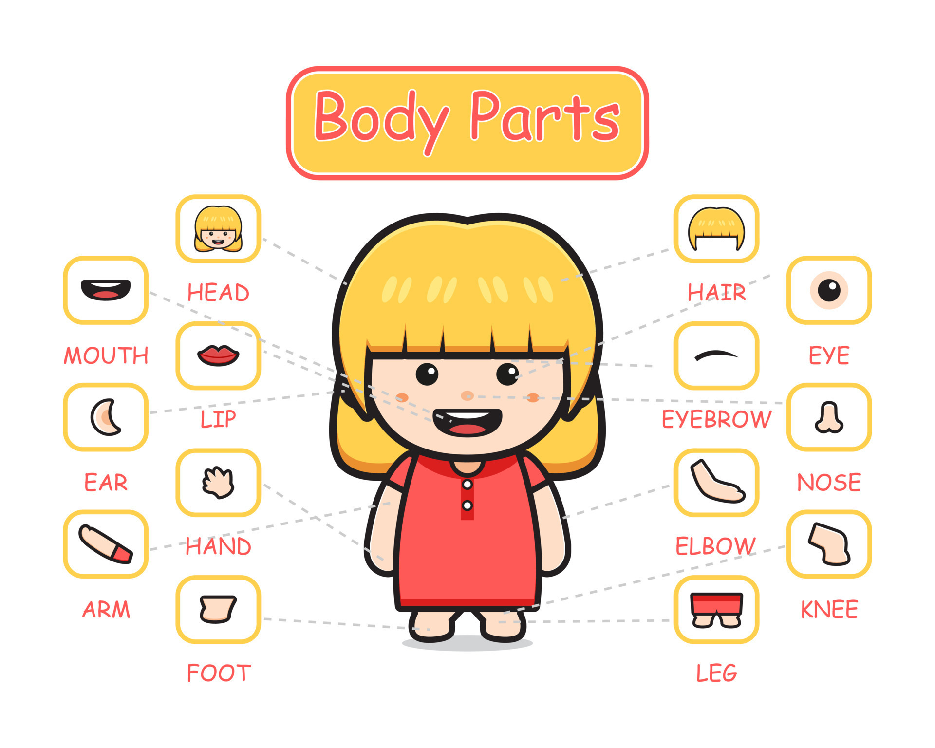 Body Parts Clipart For Kids