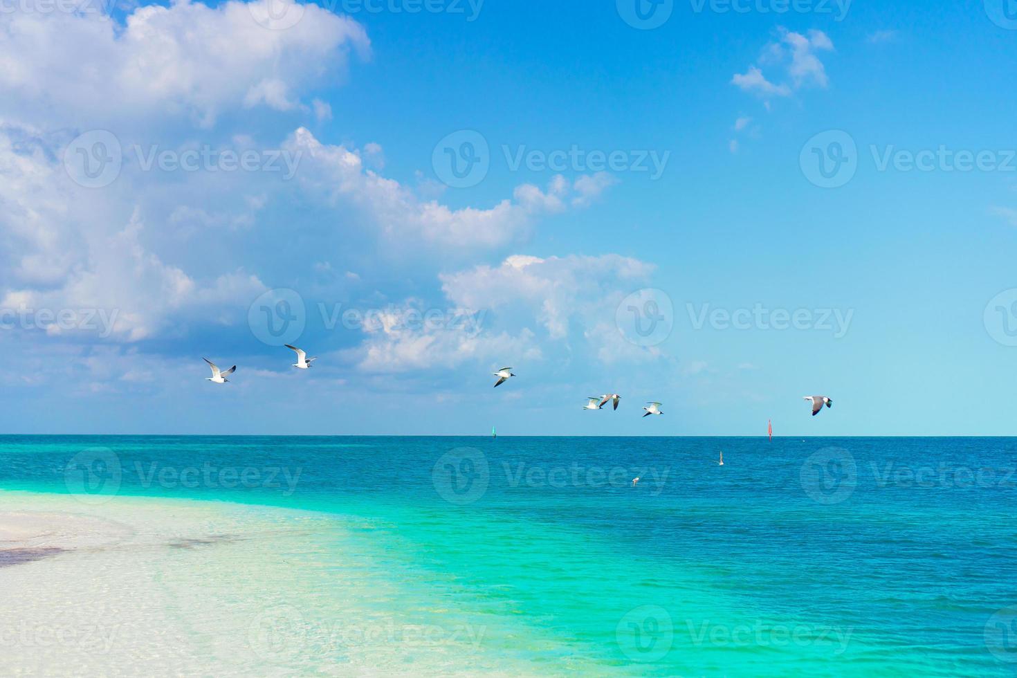 Idyllic Tropical Beach With White Sand Turquoise Ocean Water And Blue