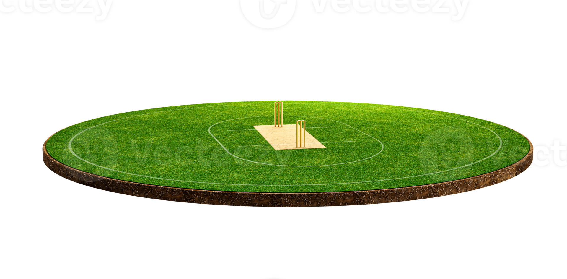 Cricket Stadium Front view on cricket pitch or ball sport game field, grass stadium or circle ...