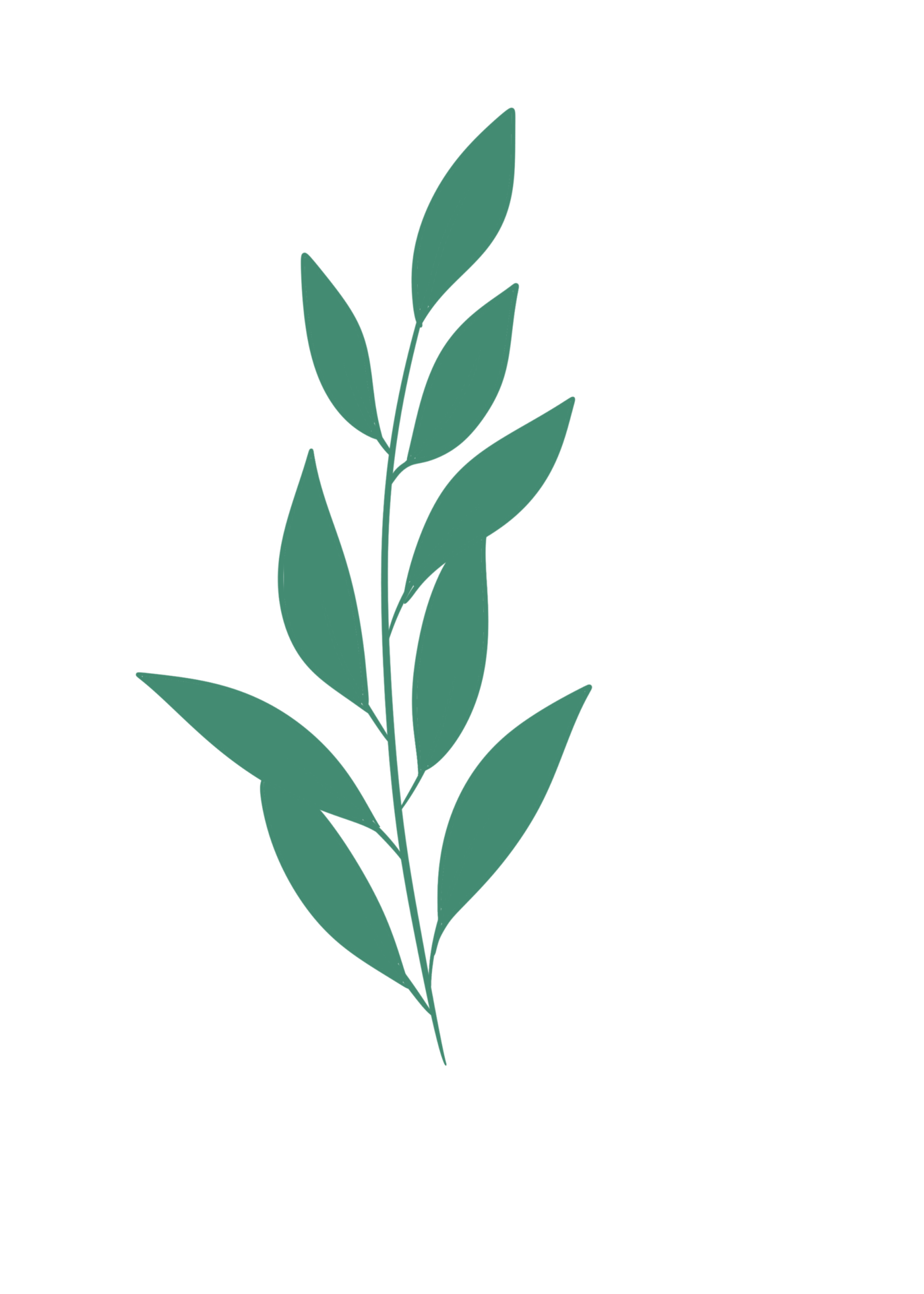 Leaf Line Art 18128817 Png