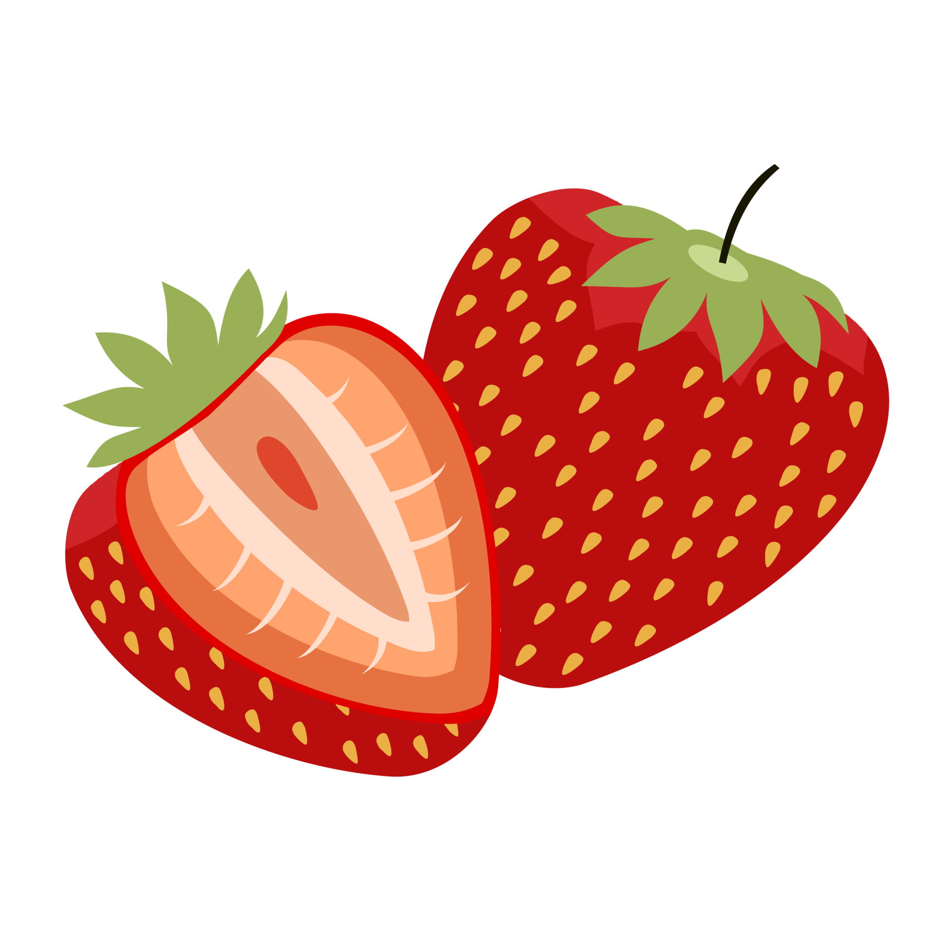Strawberry fruit slice icon illustration 18245494 PNG Strawberry fruit slice icon illustration 18245494 PNG