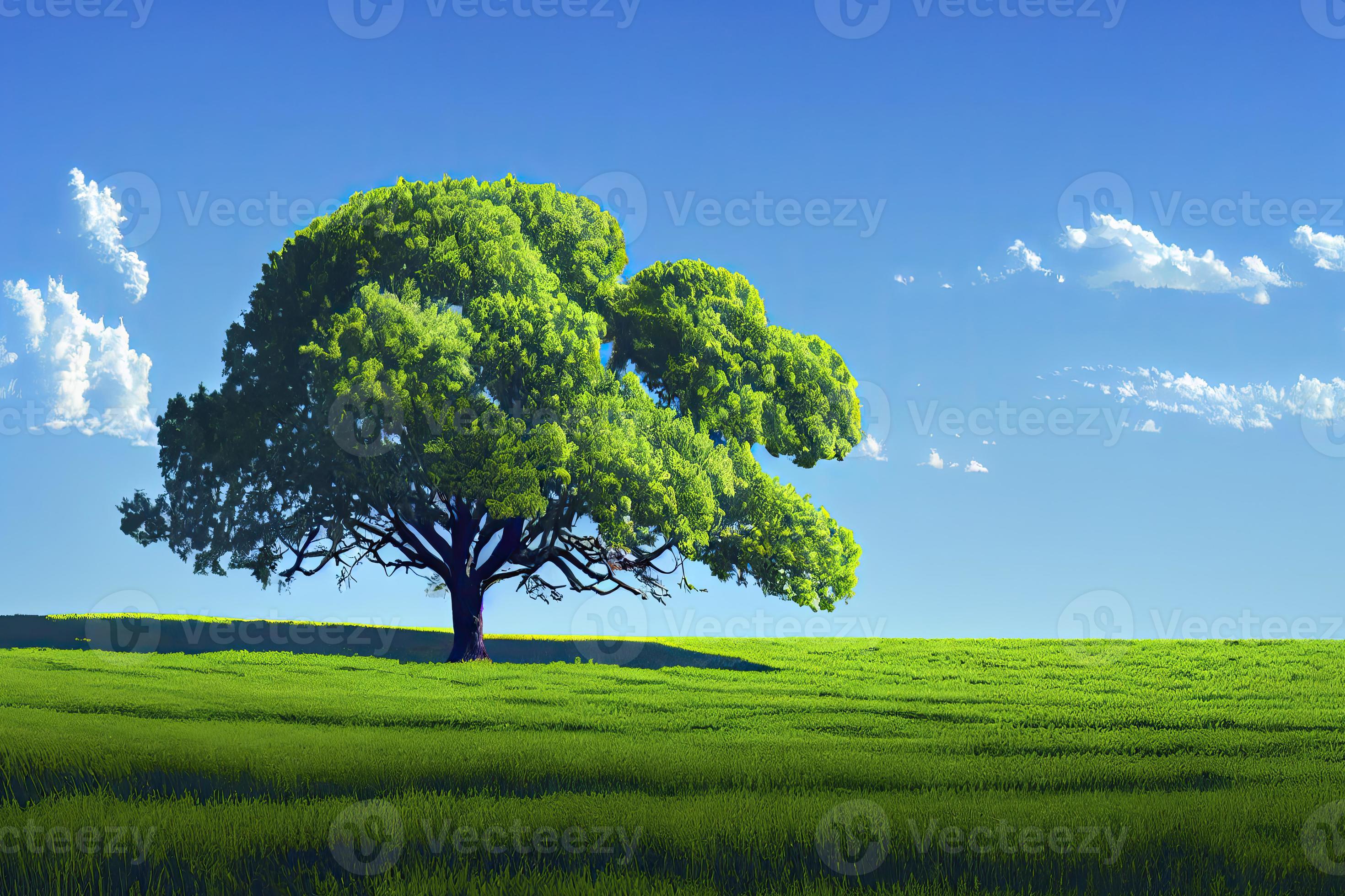 Green field, tree and blue sky.Great as a background 18729374 Stock ...