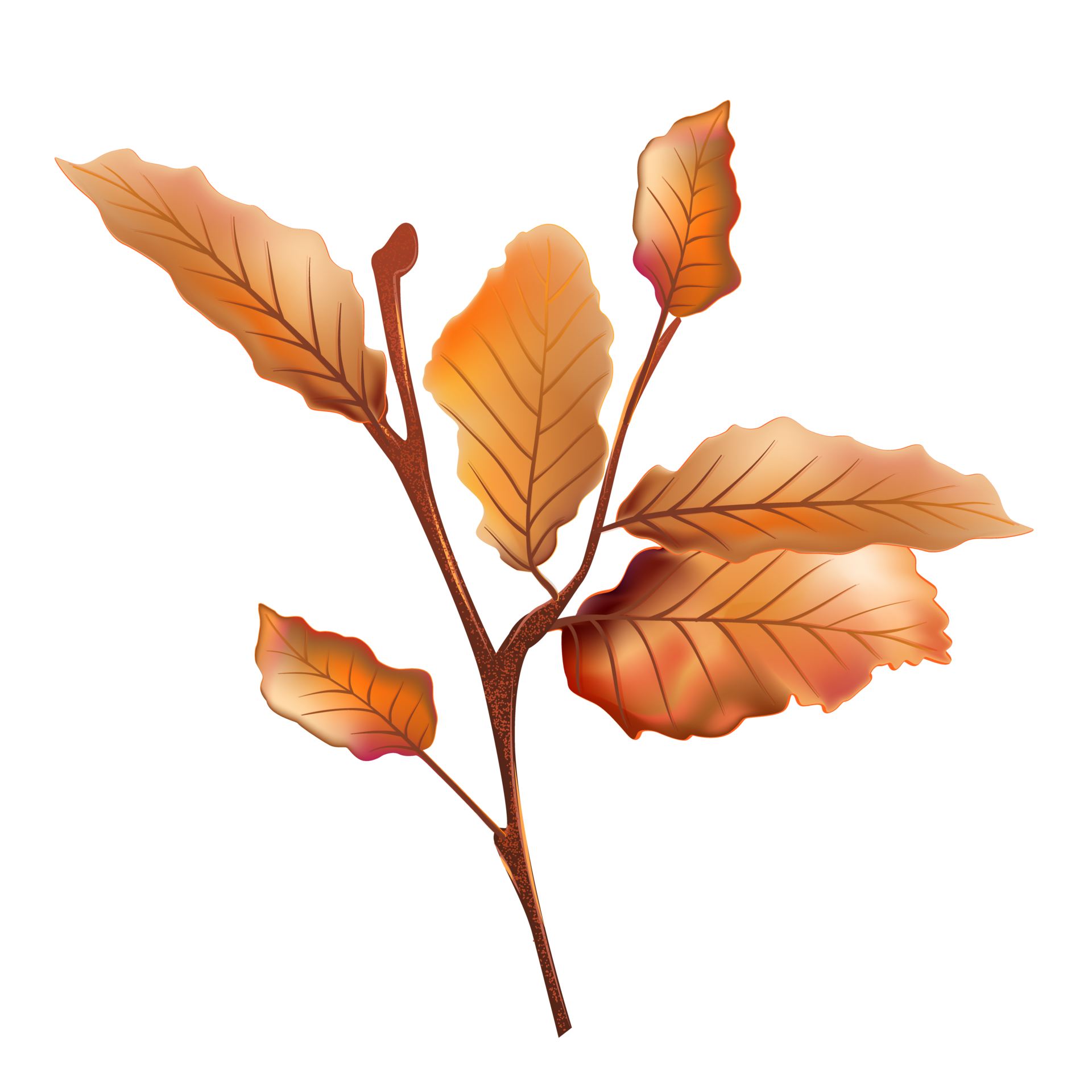 Autumn Tree Branch 18741820 Png