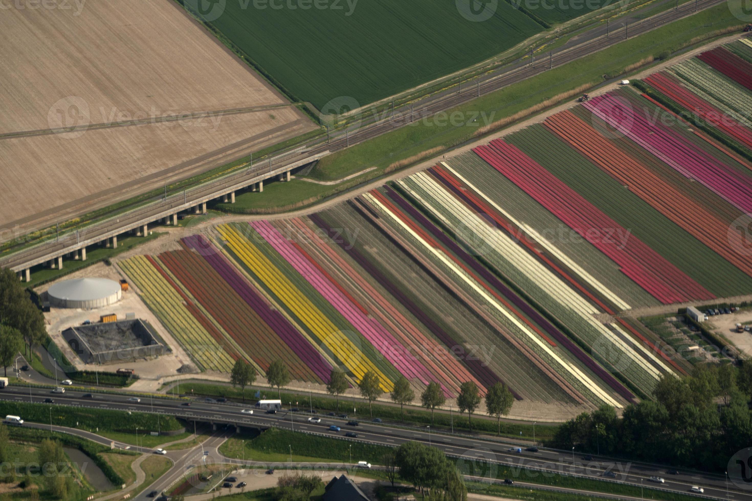 tulip fields holland aerial view from airplane 18741839 Stock Photo at ...