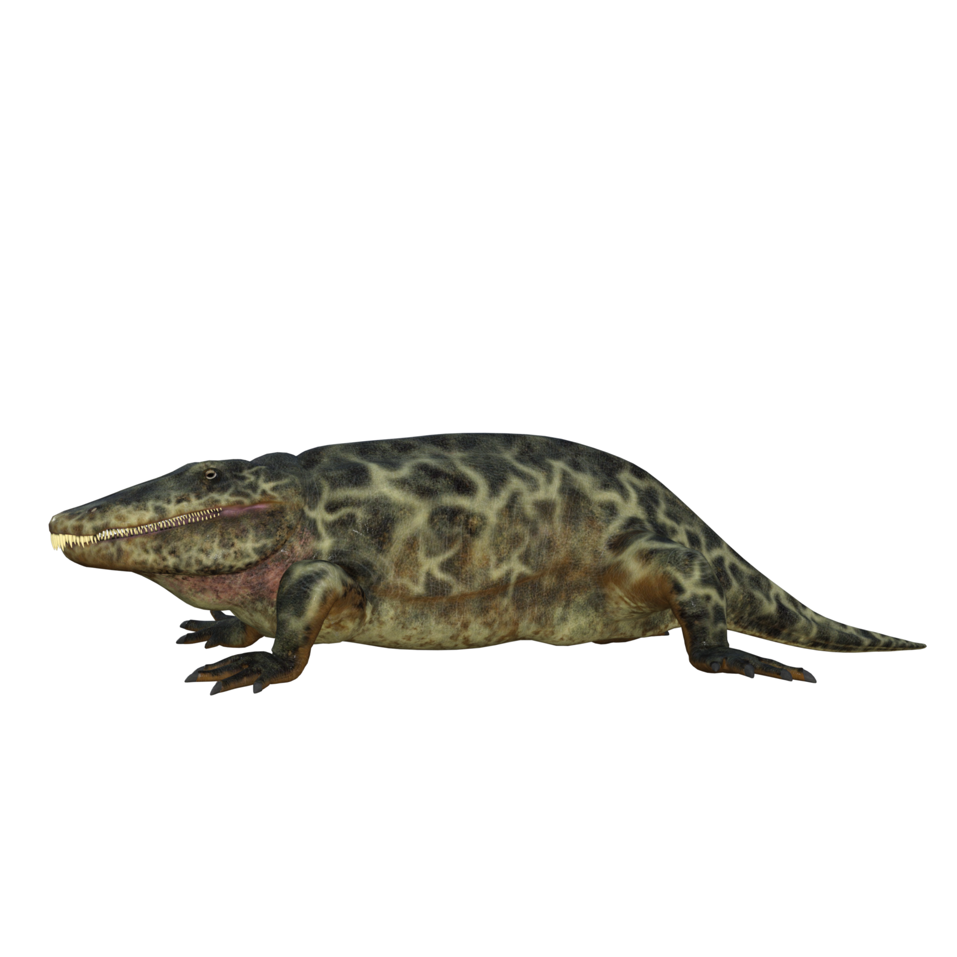 Free eryops dinosaurio aislado 3d render 18749644 PNG with Transparent Background
