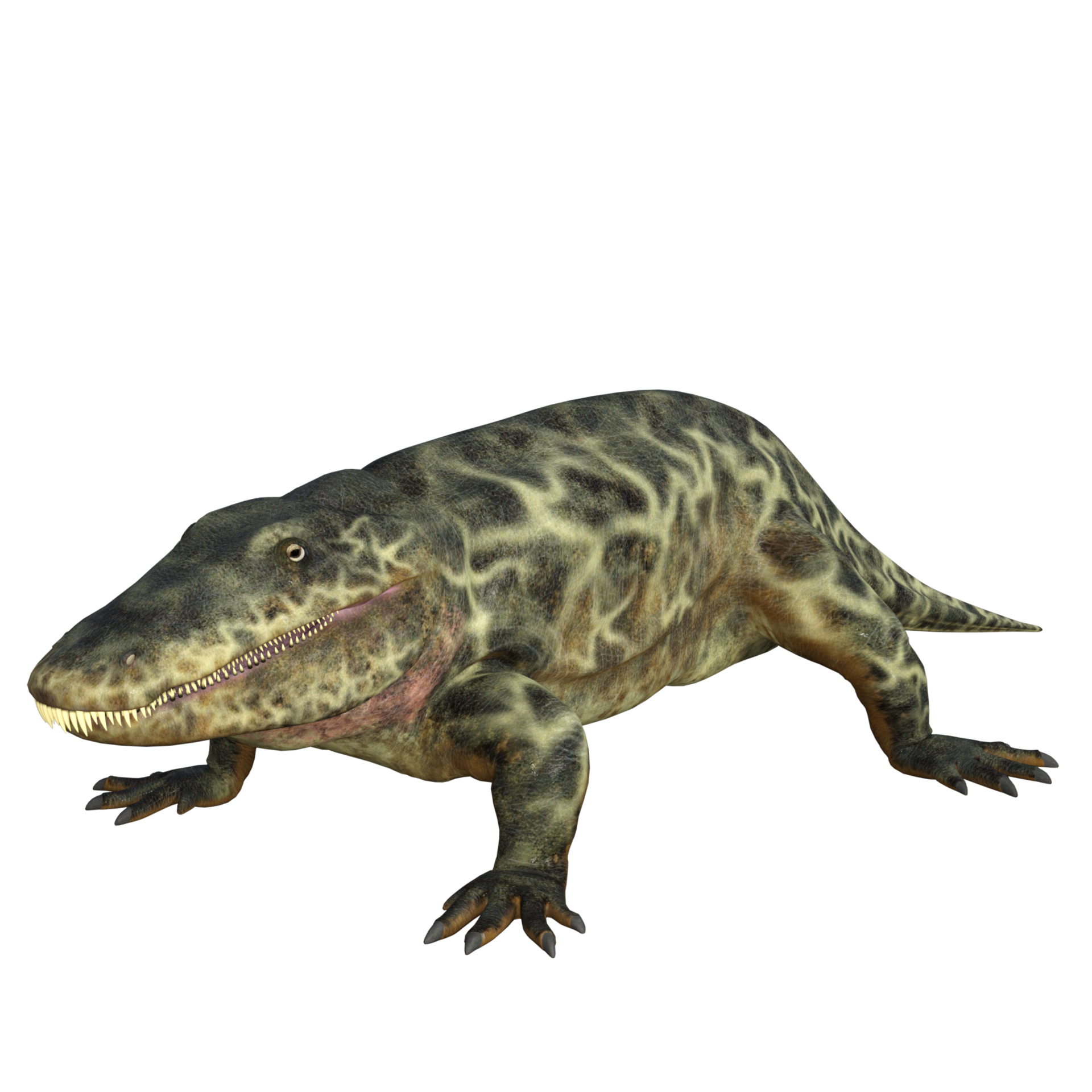 Eryops