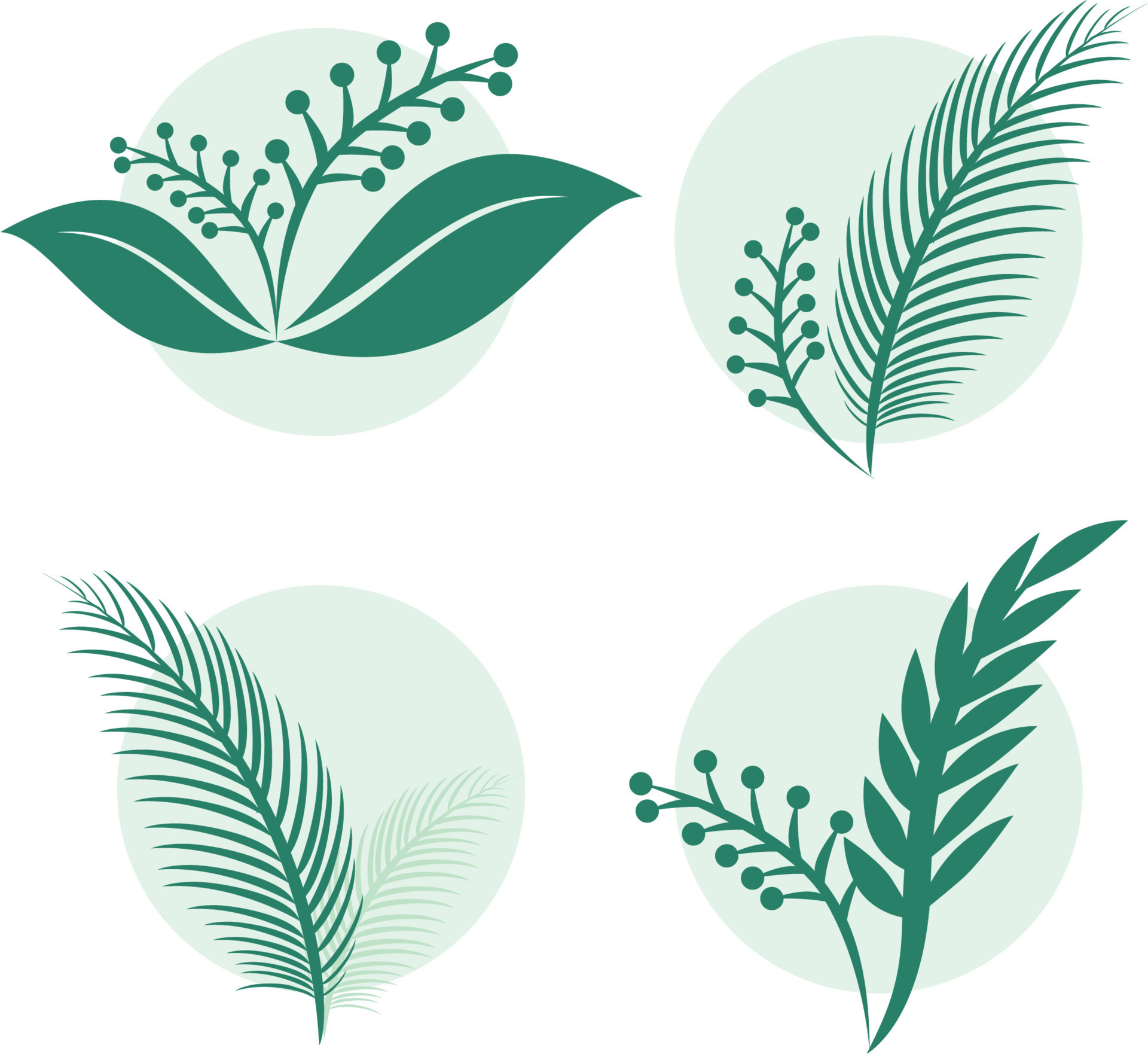 Aesthetic Plant Vector Illustration 18751199 Vector Art At Vecteezy aesthetic-plant-vector-illustration-18751199-vector-art-at-vecteezy