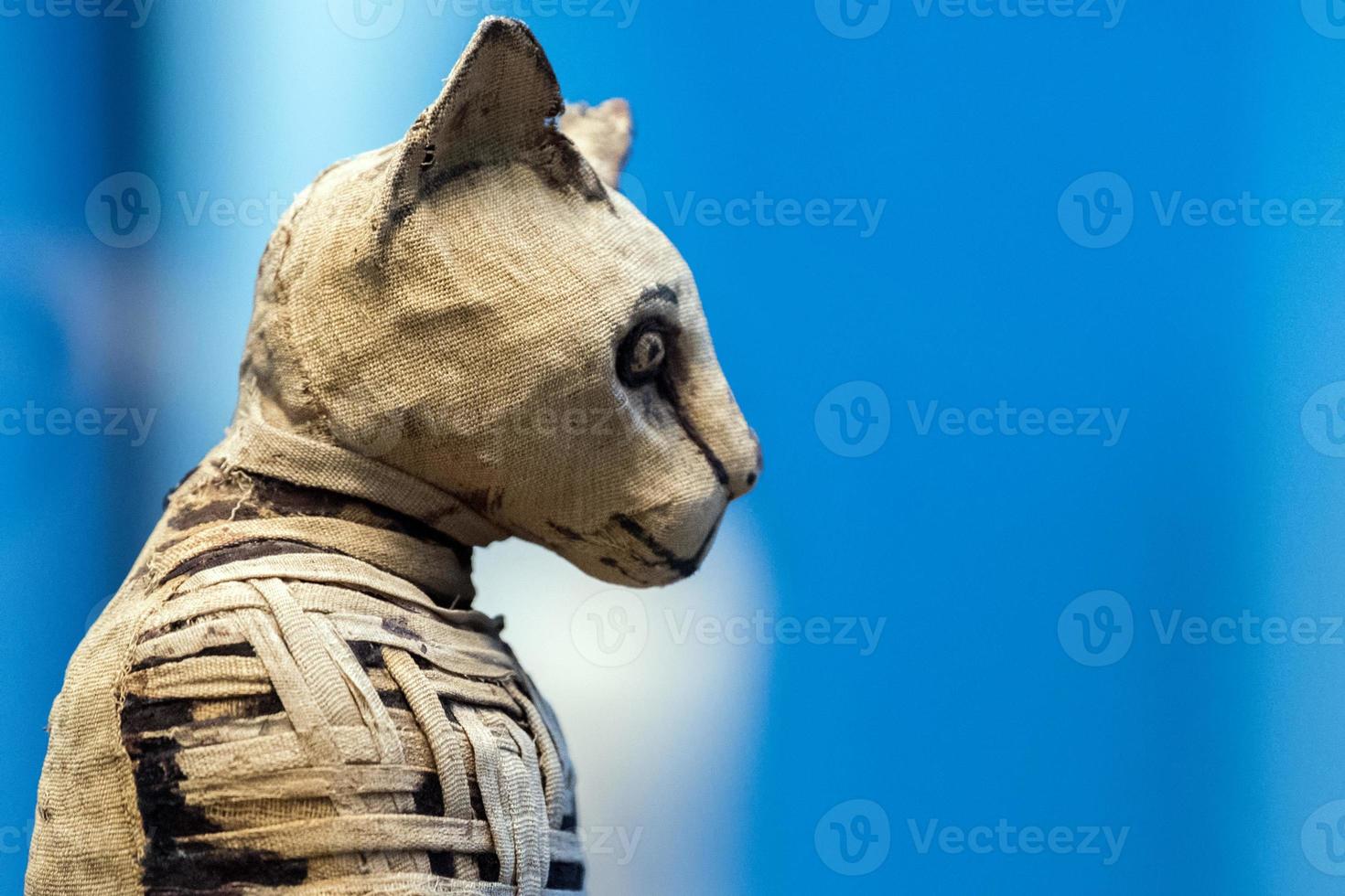 Egyptian Mummy Cat Stock Photos, Images and Backgrounds for Free Download