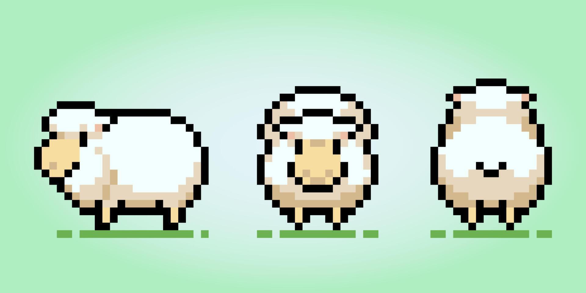 Ovejas De P xeles De 8 Bits Con Tres Vistas Frontal Lateral Y Posterior Animal Para Activos ovejas-de-p-xeles-de-8-bits-con-tres-vistas-frontal-lateral-y-posterior-animal-para-activos