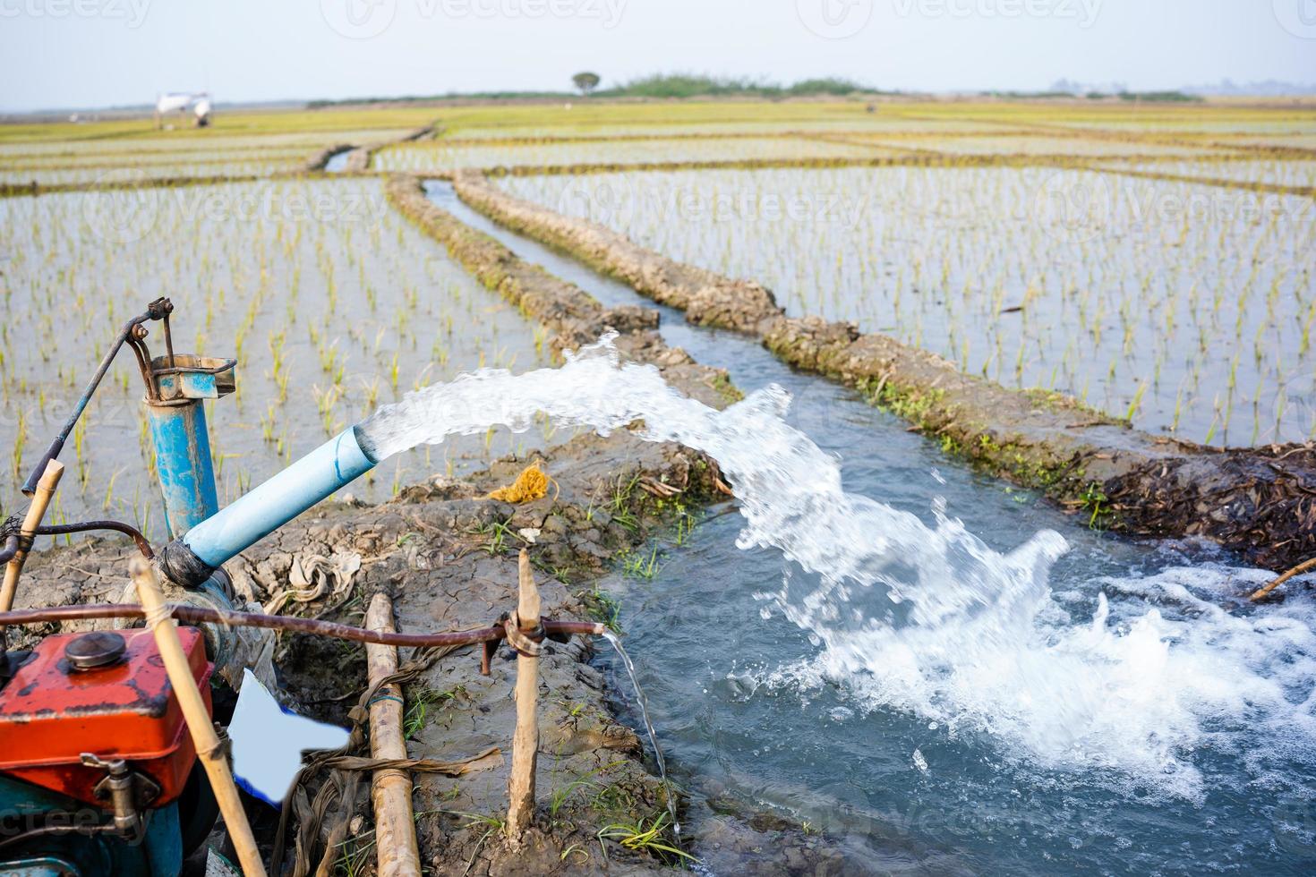 riego de campos de arroz utilizando pozos de bombeo con la técnica de bombear agua desde el ...