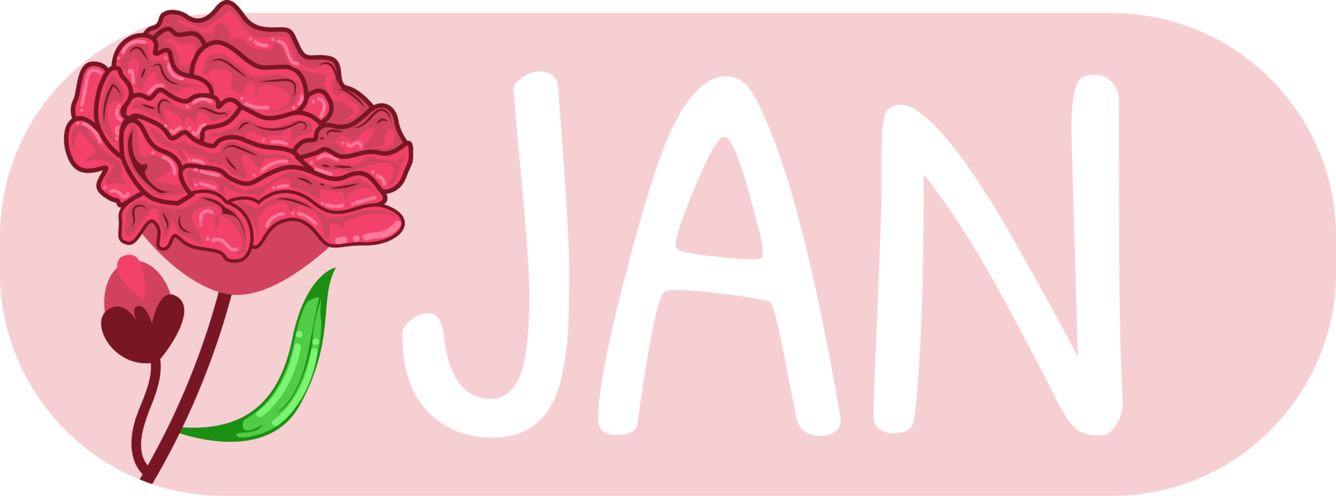 January Month Name With Carnation Birth Flower Element For Sticker january-month-name-with-carnation-birth-flower-element-for-sticker
