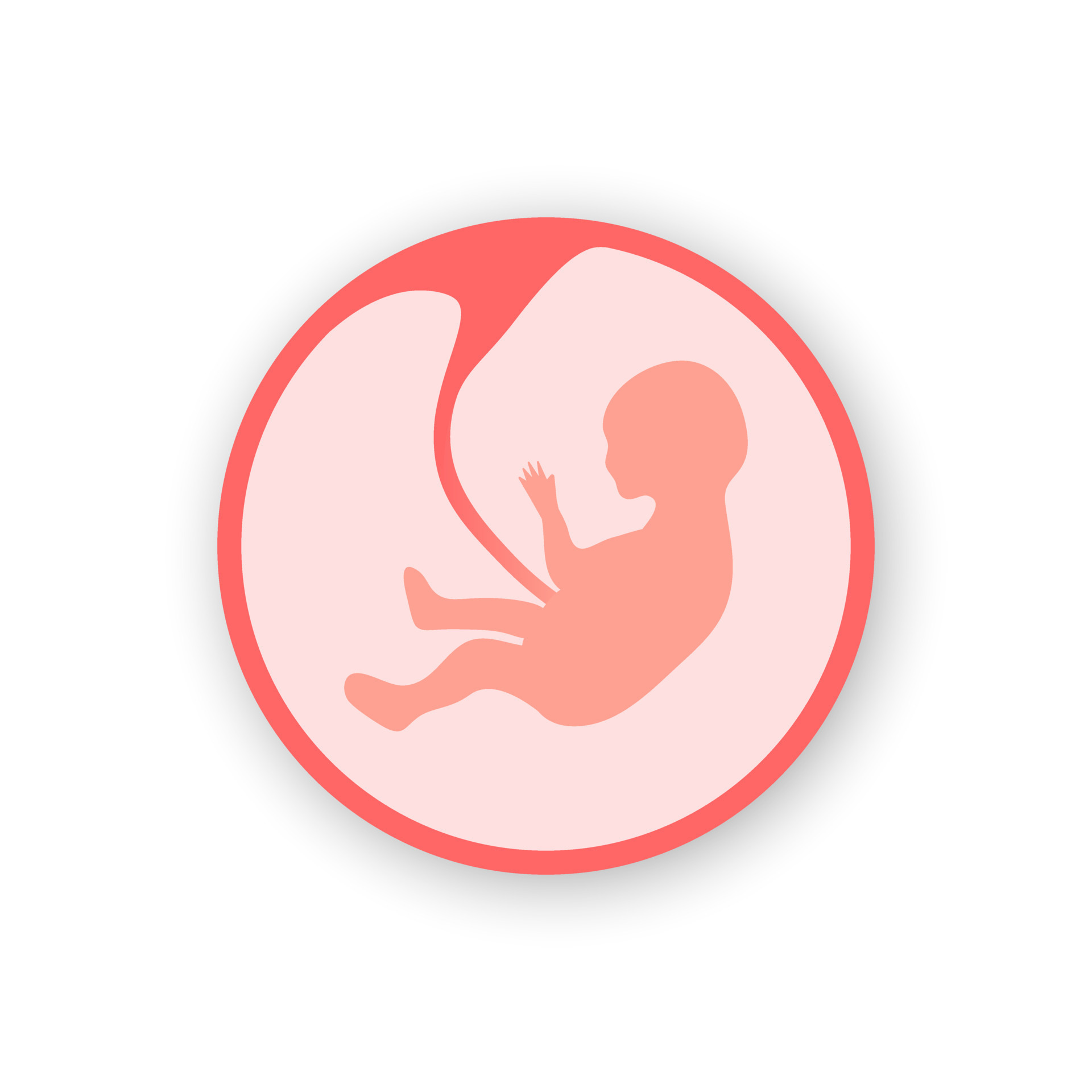 Fetus symbol, Baby in the womb. Embryo Development isolated icon. Colorful vector illustration ...